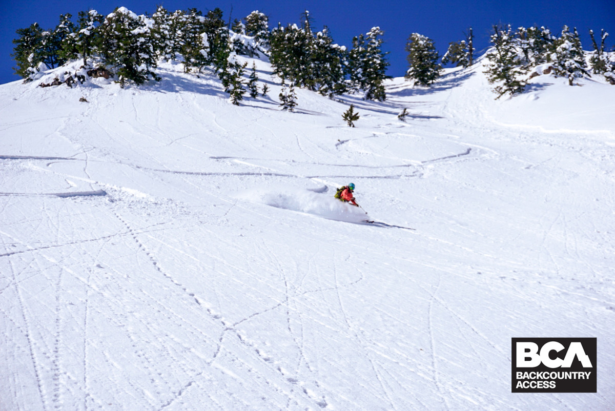 Taking the First Steps in Your Backcountry Education