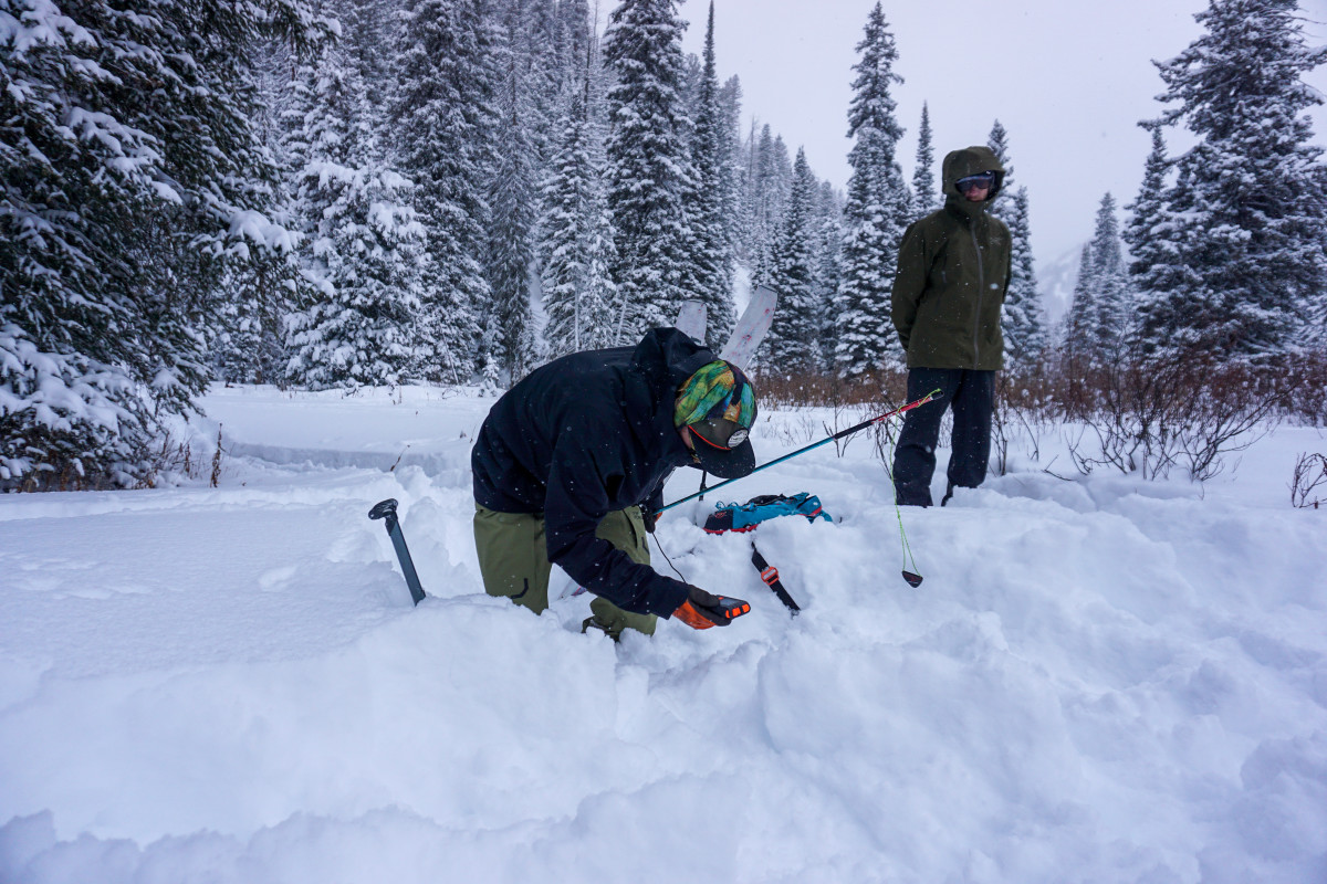 Companion Rescue Practice 101