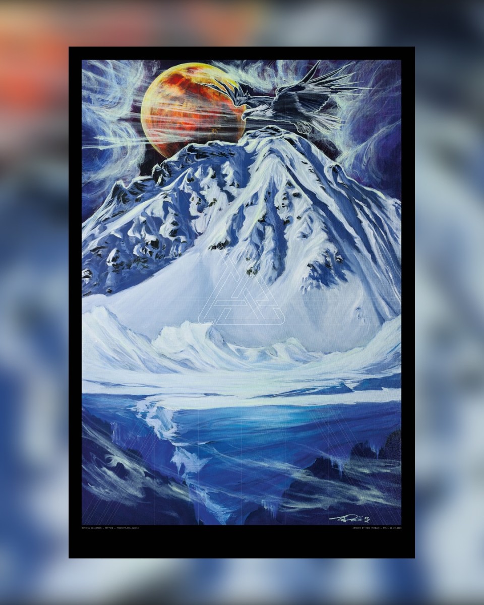 NST Ski Drops Limited Edition Artwork & Merch