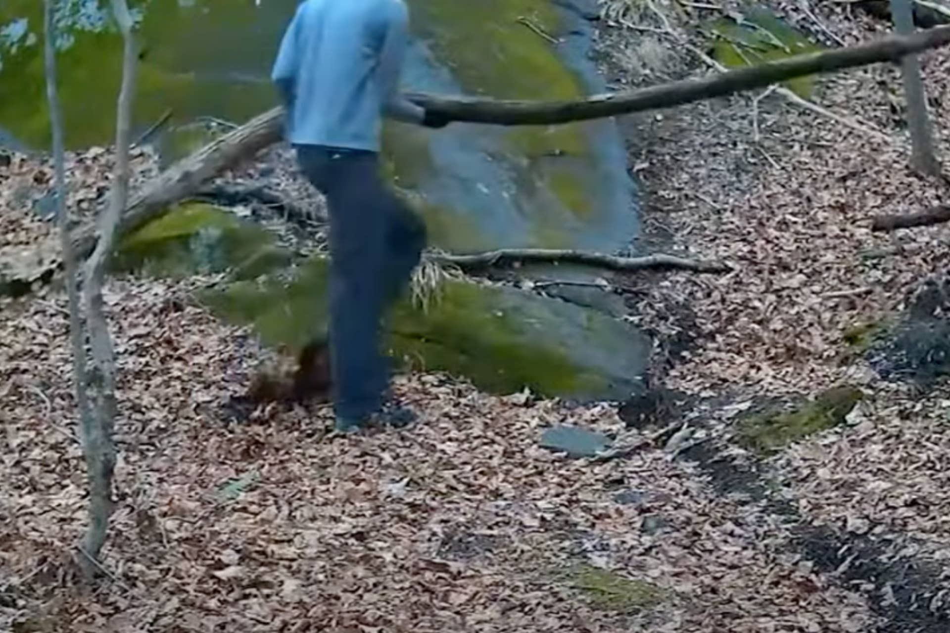 New York Man Caught Booby Trapping Bike Trails Red-Handed