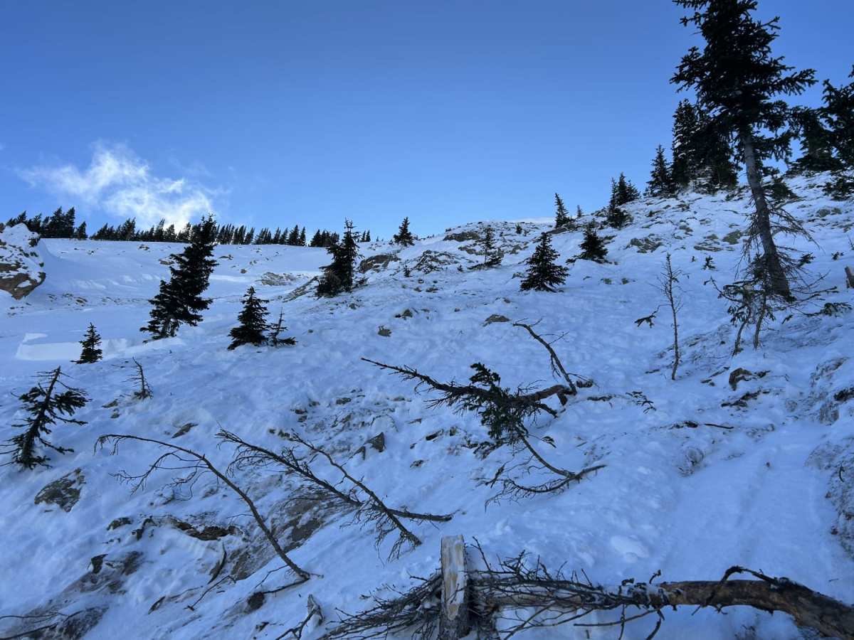 22 People Died In Avalanches This Year—Here's What Happened