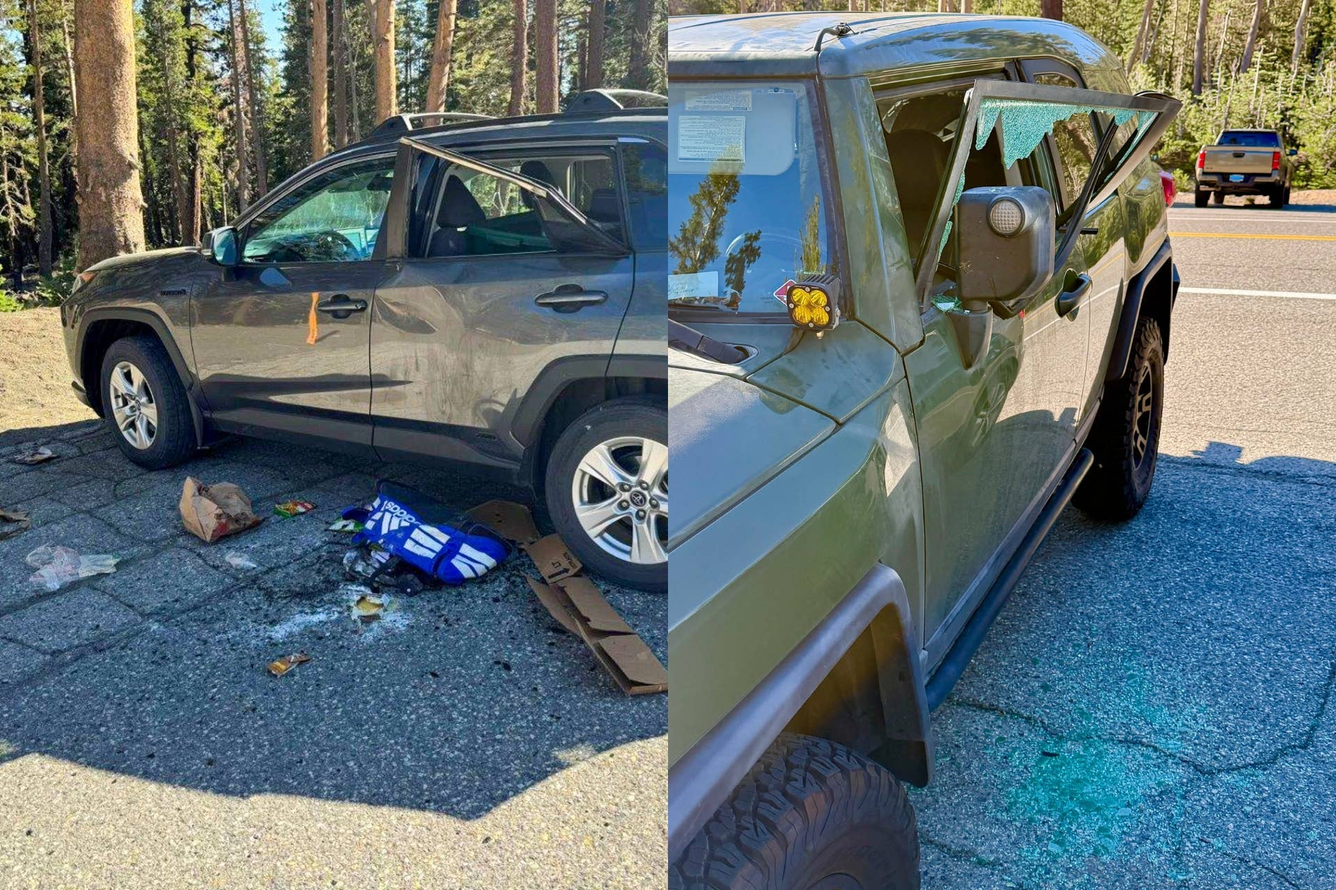 Hungry Bears Are Destroying Cars at Mammoth Mountain, California