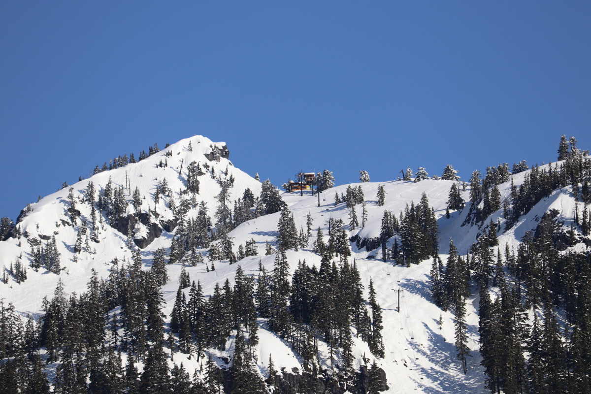 The 8 Best Resorts for Tree Skiing in North America