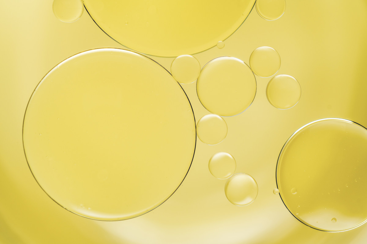 SLC to Dubai— Algae-Based Skis Are Influencing the World