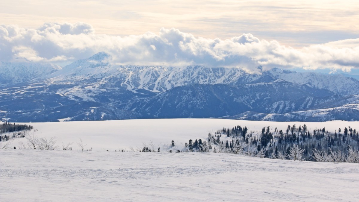 Netflix Co-Founder Compares His Utah Ski Resort to Streaming