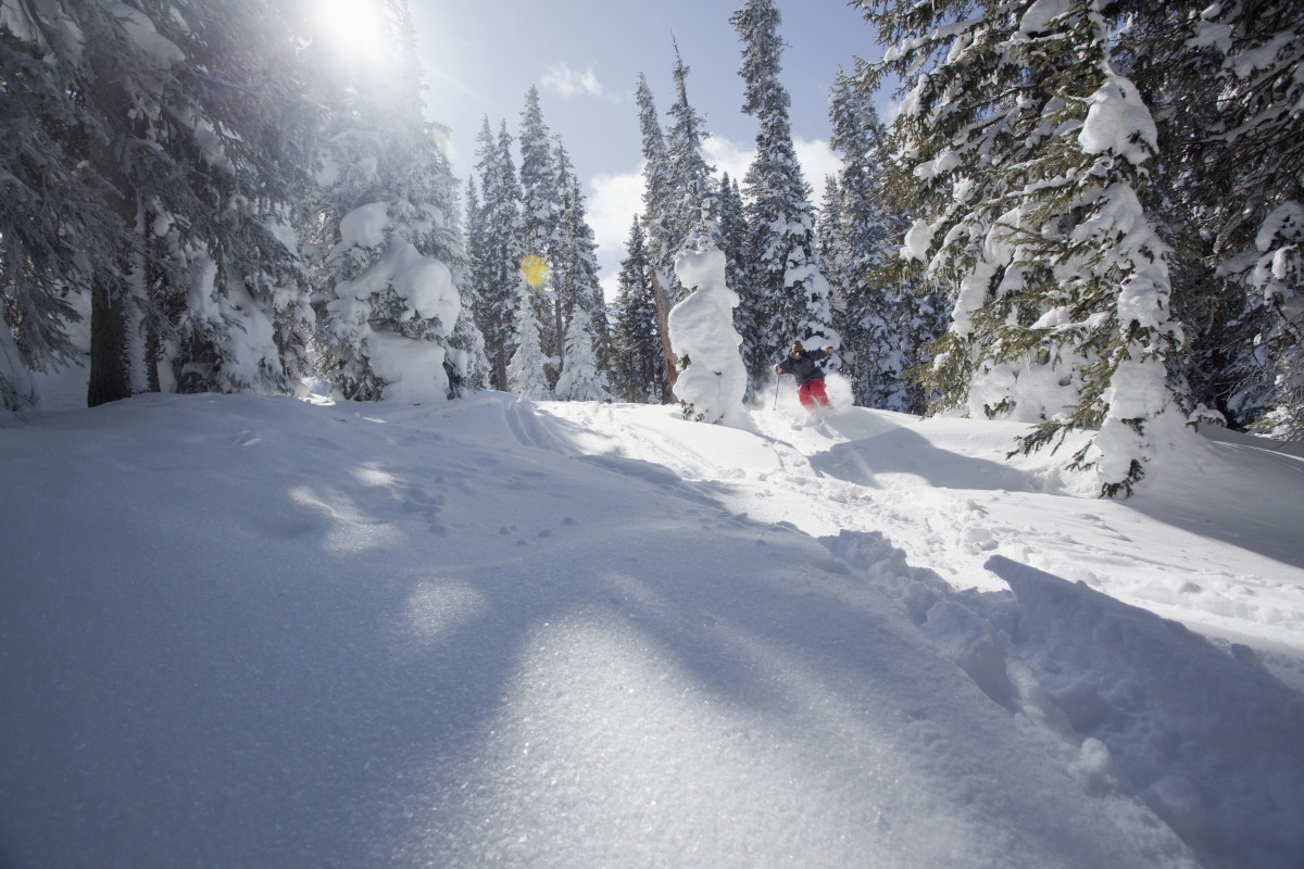 The 10 Best Ski Resorts for Terrain Variety in North America