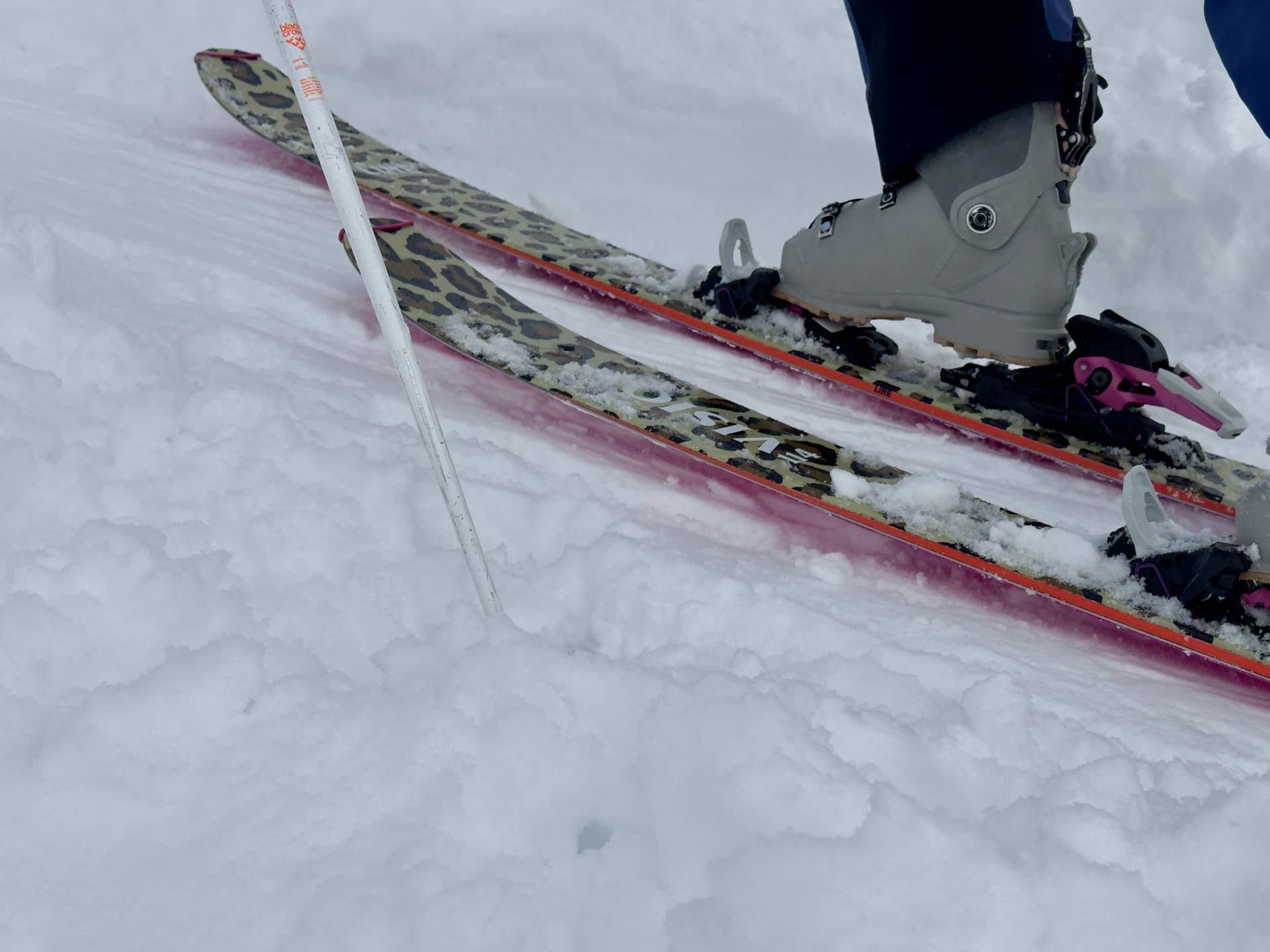 Review: Line Vision 114 Skis