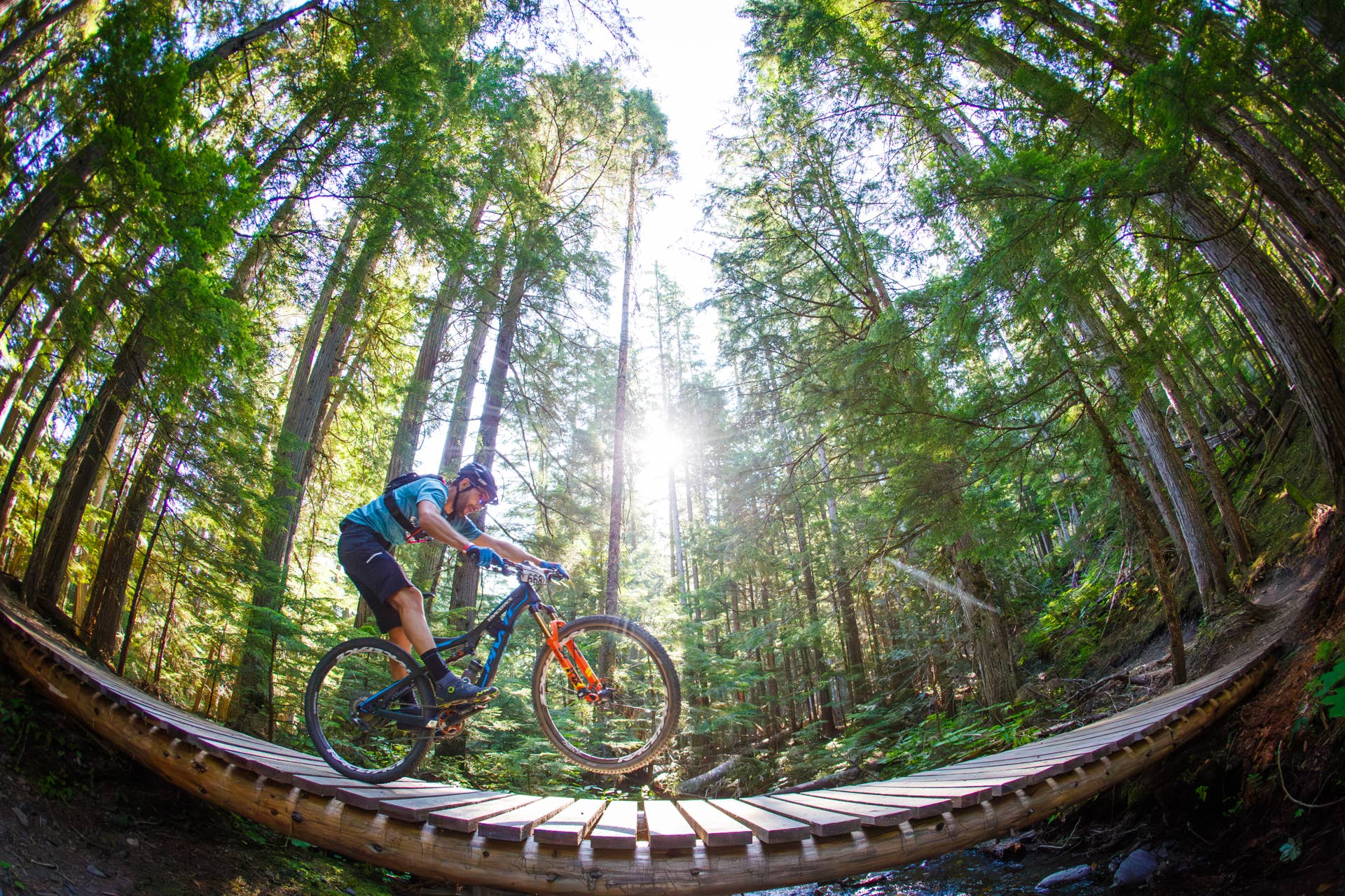 The 12 Best Ski Resorts for Mountain Biking in North America