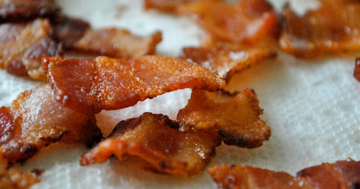 The Rules of Pocket Bacon - Powder