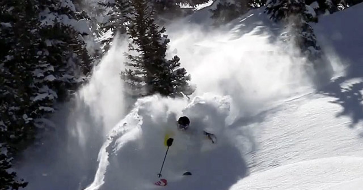 Why You Should Work at Alta - Powder