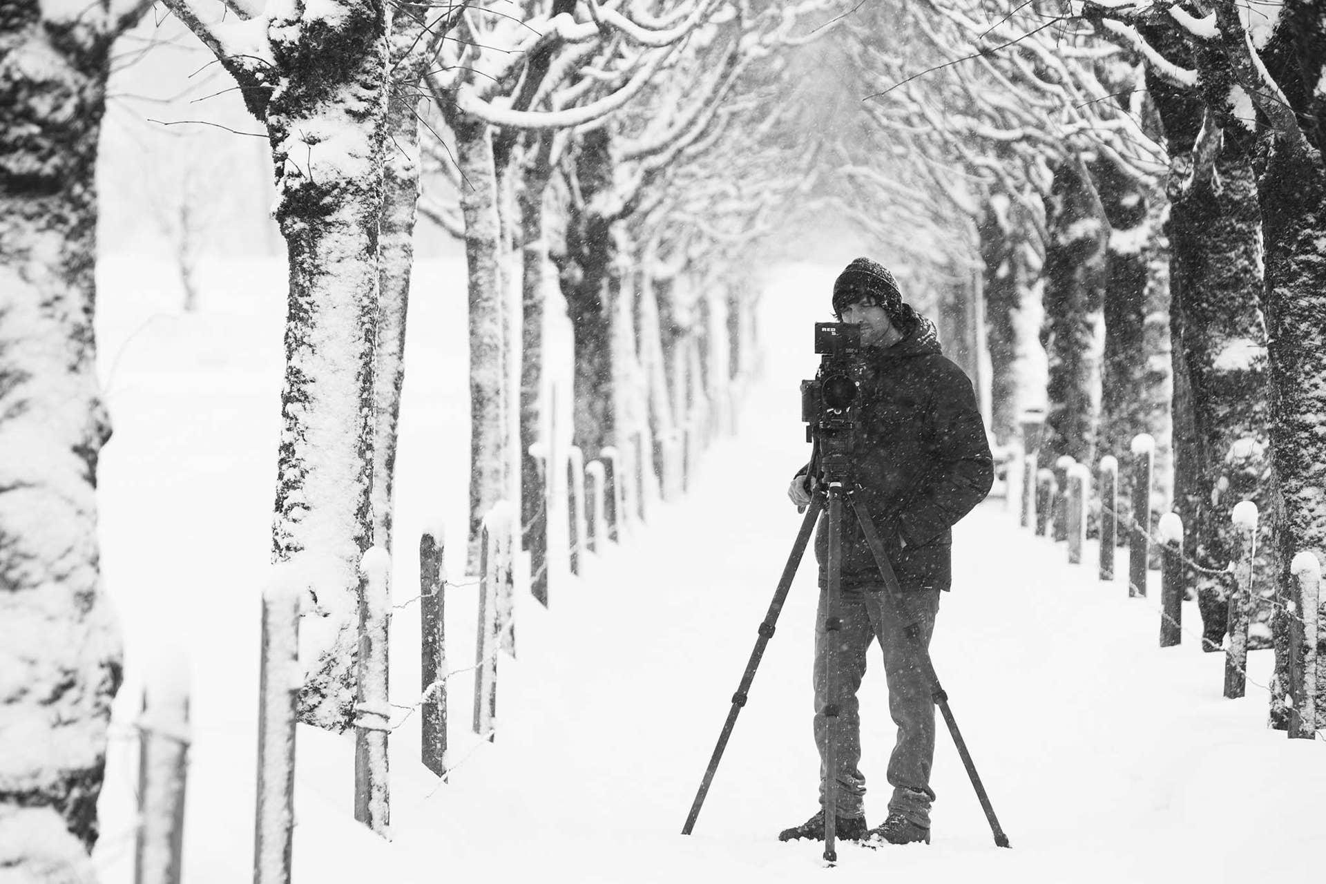 Changing Focus: The Eric Pollard Story - Powder