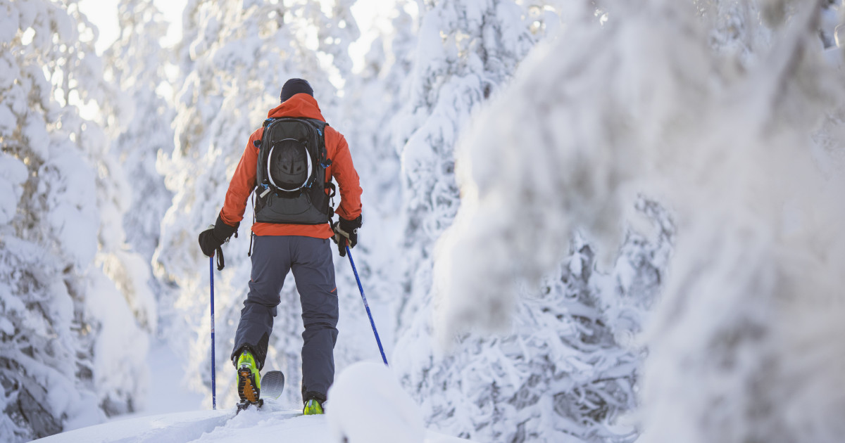 How To Stay Safe While Skiing in the Backcountry - Powder