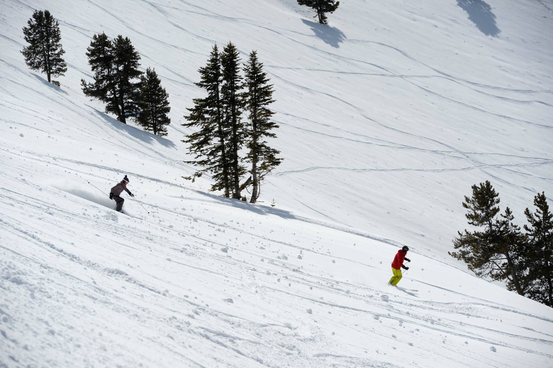 Vail Ski Resort Lift Upgrades Approved by Forest Service - Powder