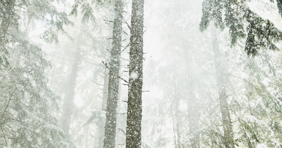 NOAA's Winter 25/26 Outlooks Show Strong La Niña Trends - Powder