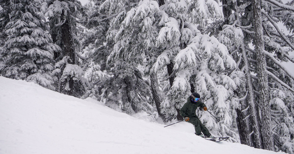 Stellar Equipment Free Shell 2.5 Outerwear Review - Powder