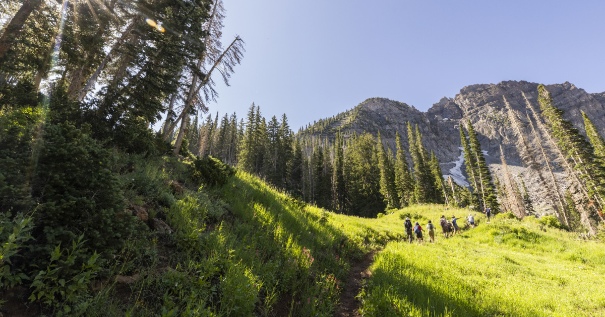 The 6 Most Scenic Hiking Trails at Ski Resorts - Powder