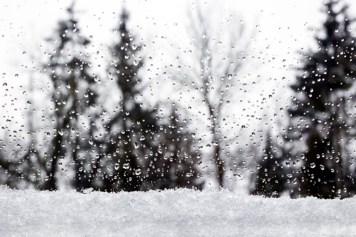Skiing in the Rain: What To Wear and How To Prepare - Powder