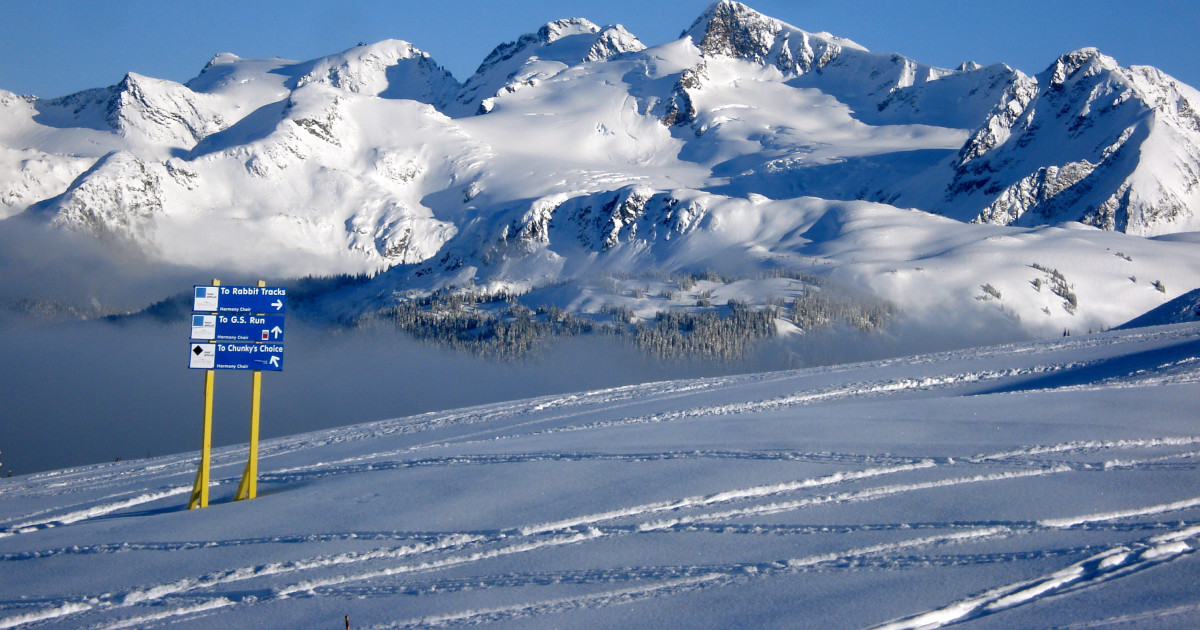 Ski Slope Ratings Explained: From Green to Black Diamond Runs - Powder