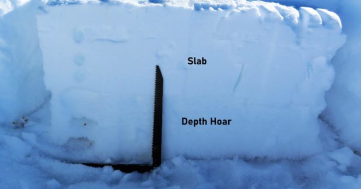 Snow Science: Understanding Basal Facets - Powder