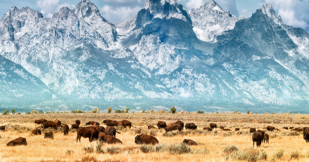 Entrance Fees Waived at National Parks for Juneteenth - Powder