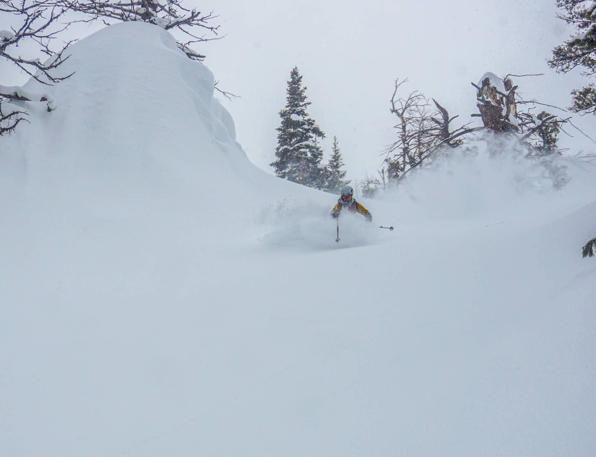 Review: Patagonia Women’s SnowDrifter Jacket and Bib - Powder