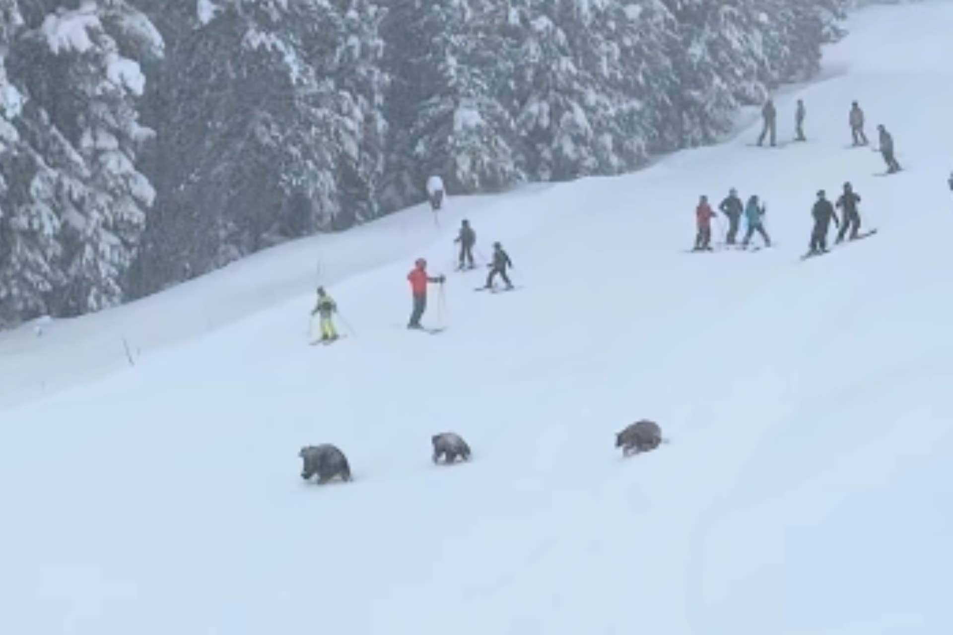 The Final Day To Purchase an Epic Pass for Winter 25/26 - Powder