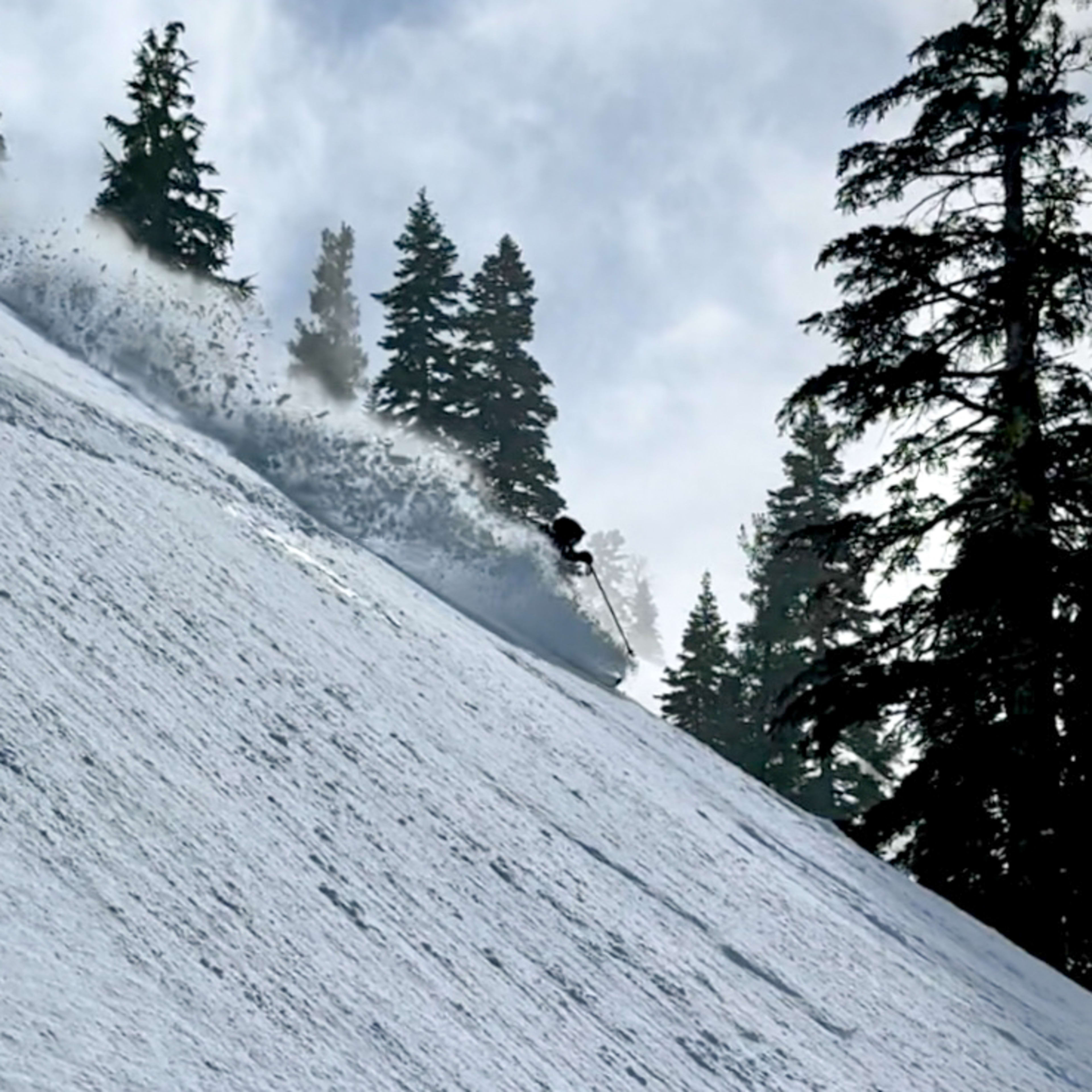 The History and Future of the Term Snow Bunny in Ski Media - Powder