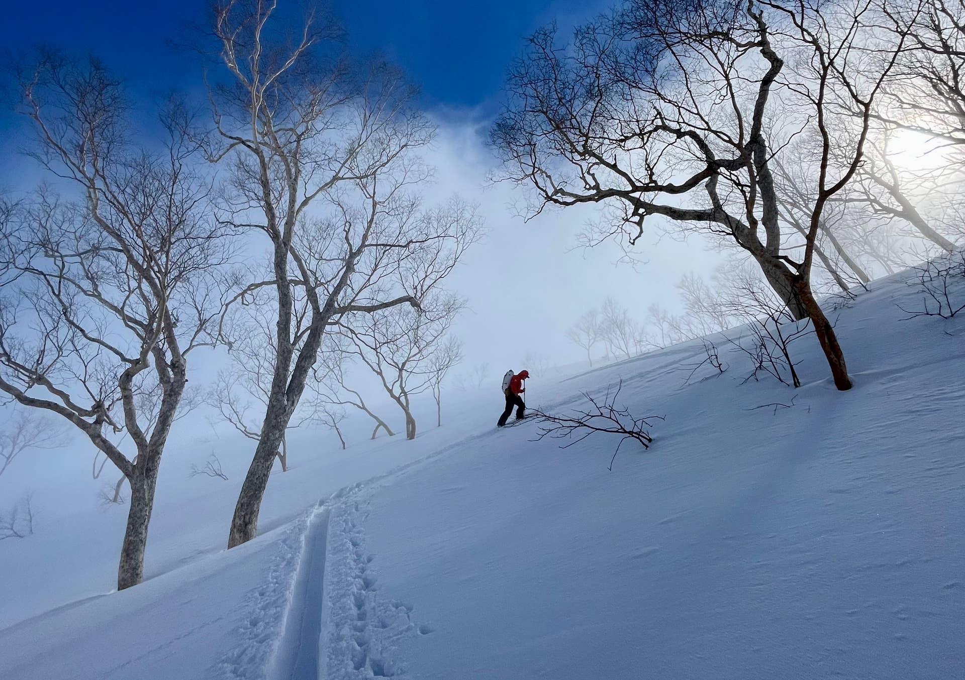 The 11 Different Types of Skis: A Complete Guide - Powder