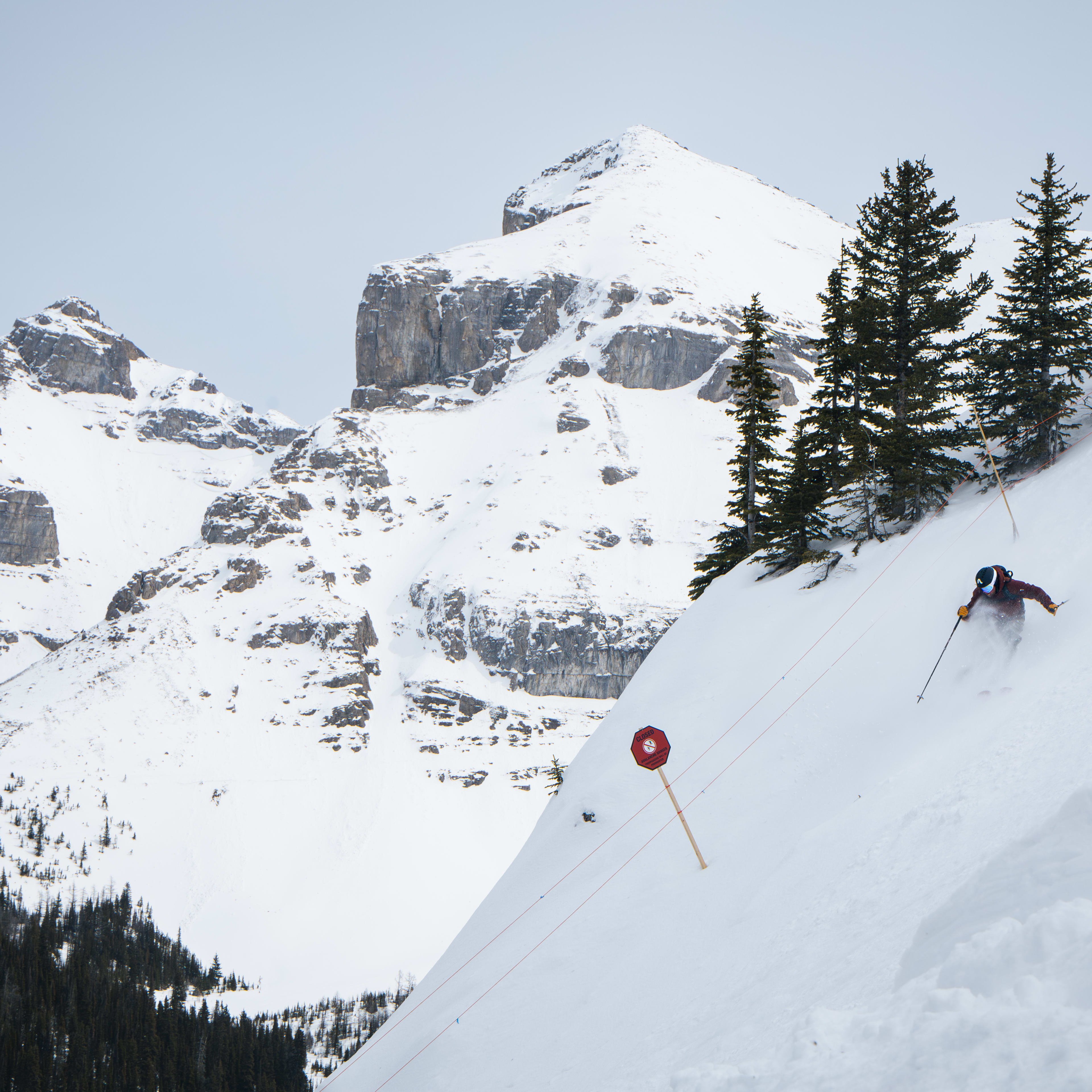 POWDER Magazine Launches New Website Design - Powder