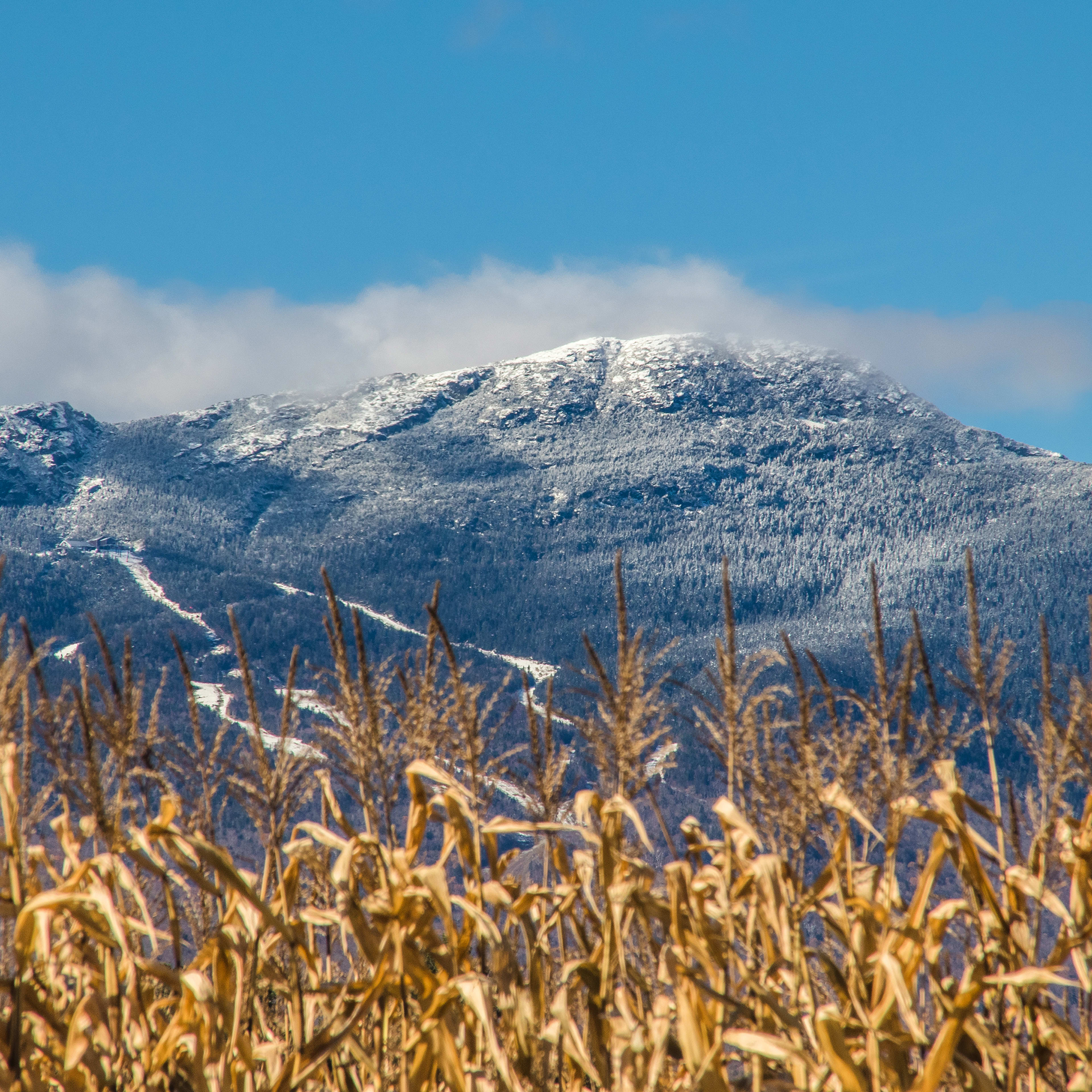 5 Ski Brands You Used To See in POWDER Magazine - Powder