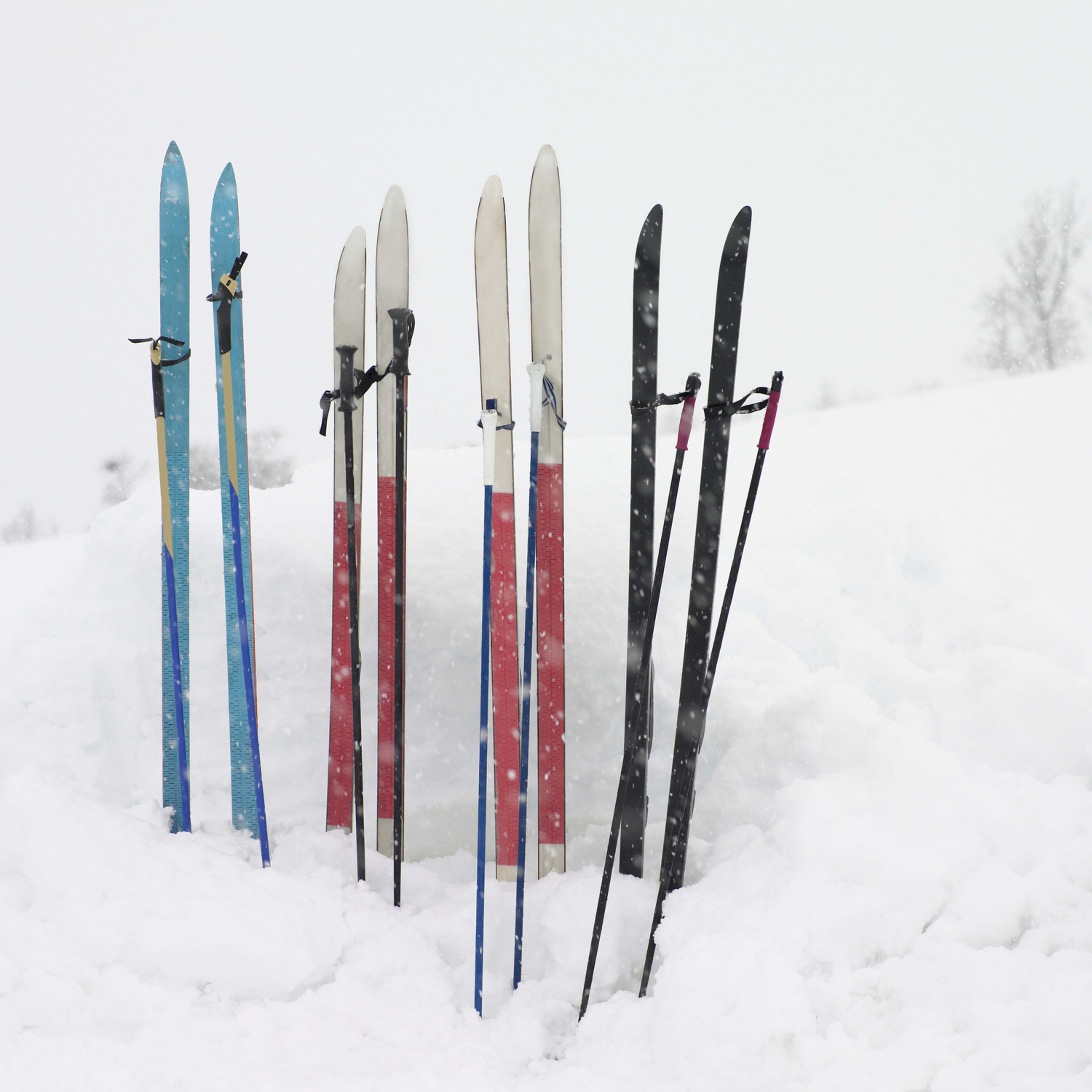 Candide Skis Reveals New Models for 2026 - Powder