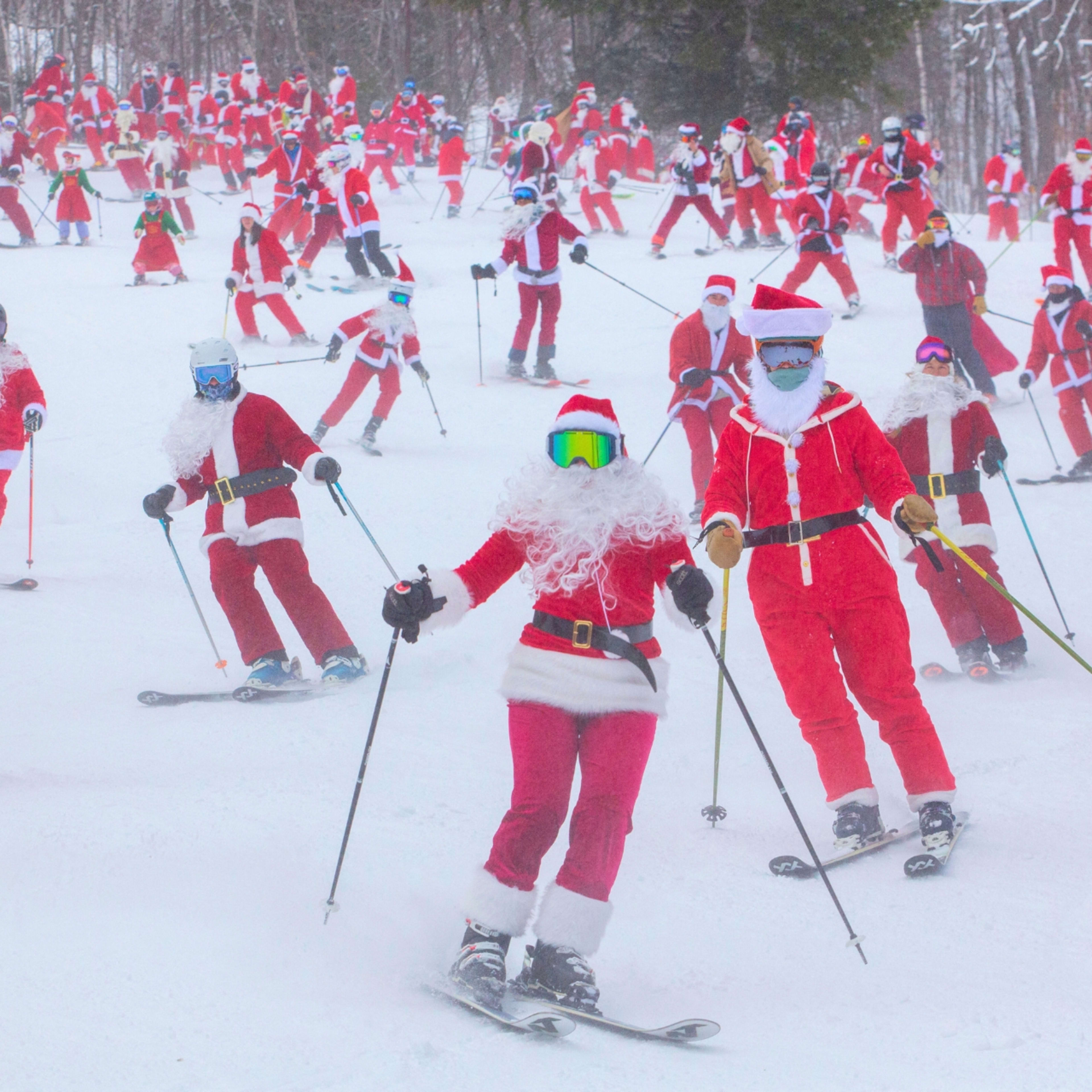 Mama Bear and Cubs Spotted Under California Ski Lift - Powder