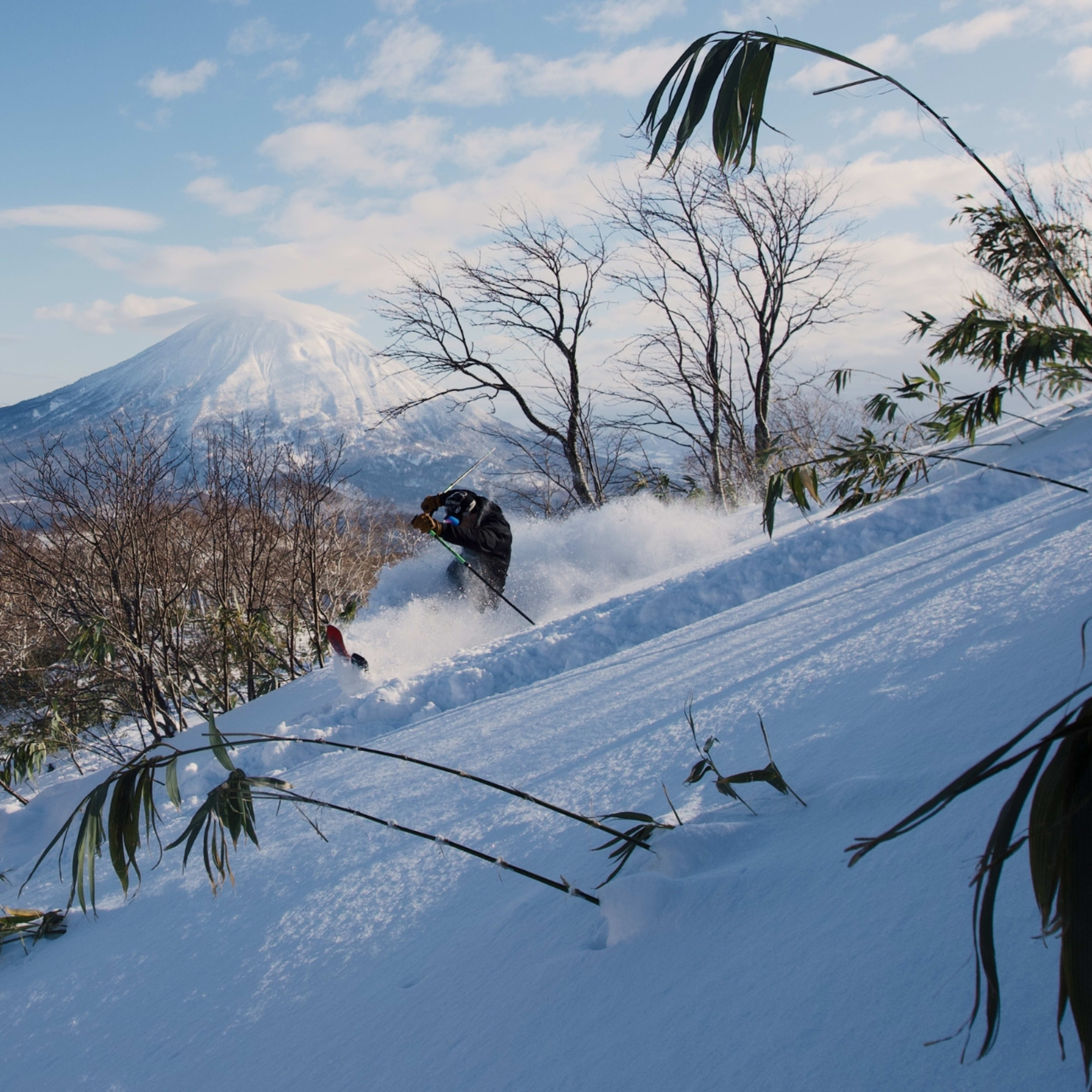 How To Adjust Your Ski Bindings: Pin and Alpine Guides - Powder