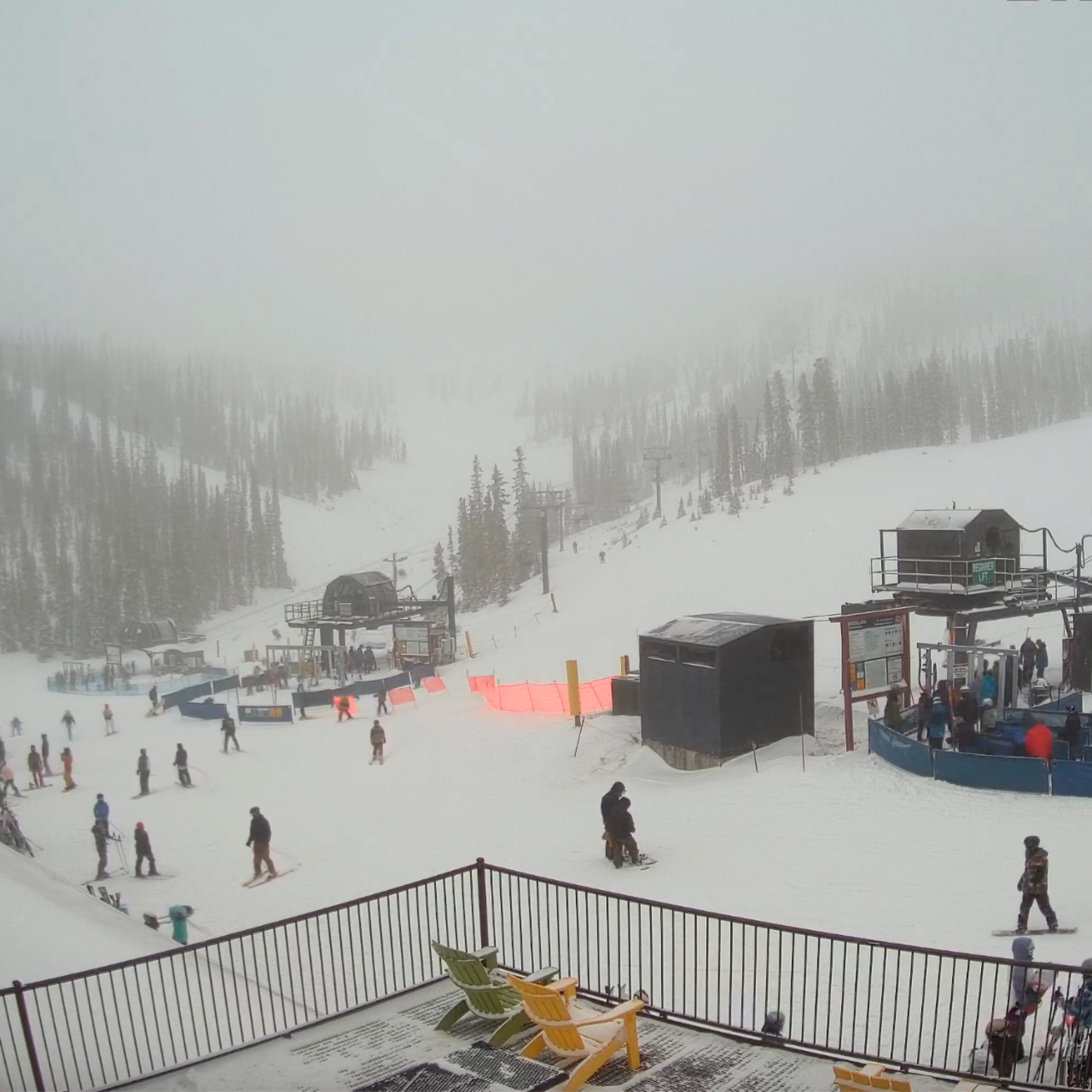 Tecnica Releases New Mach1 LV Boots - Powder