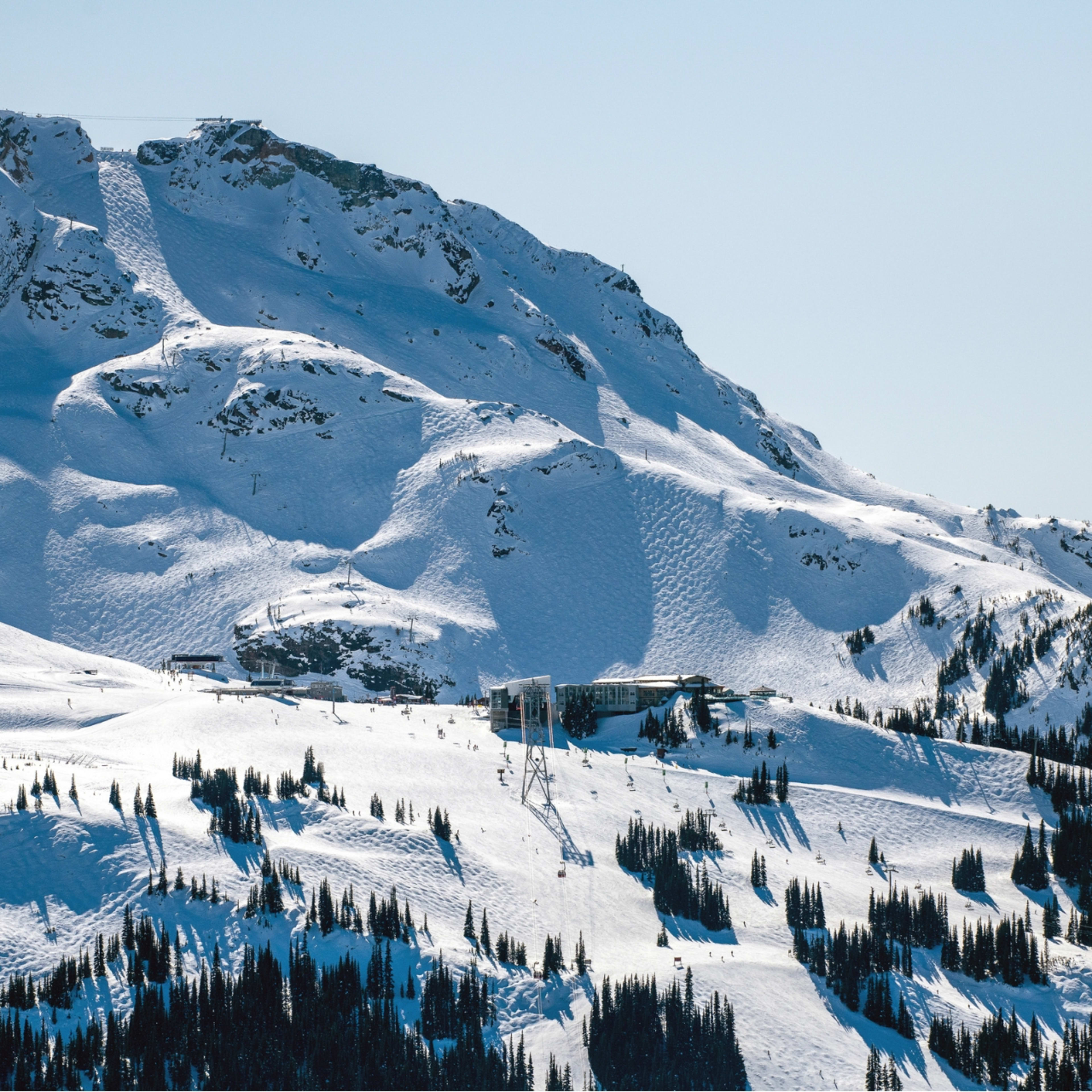 Review: Scarpa TX Comp Telemark Boot - Powder