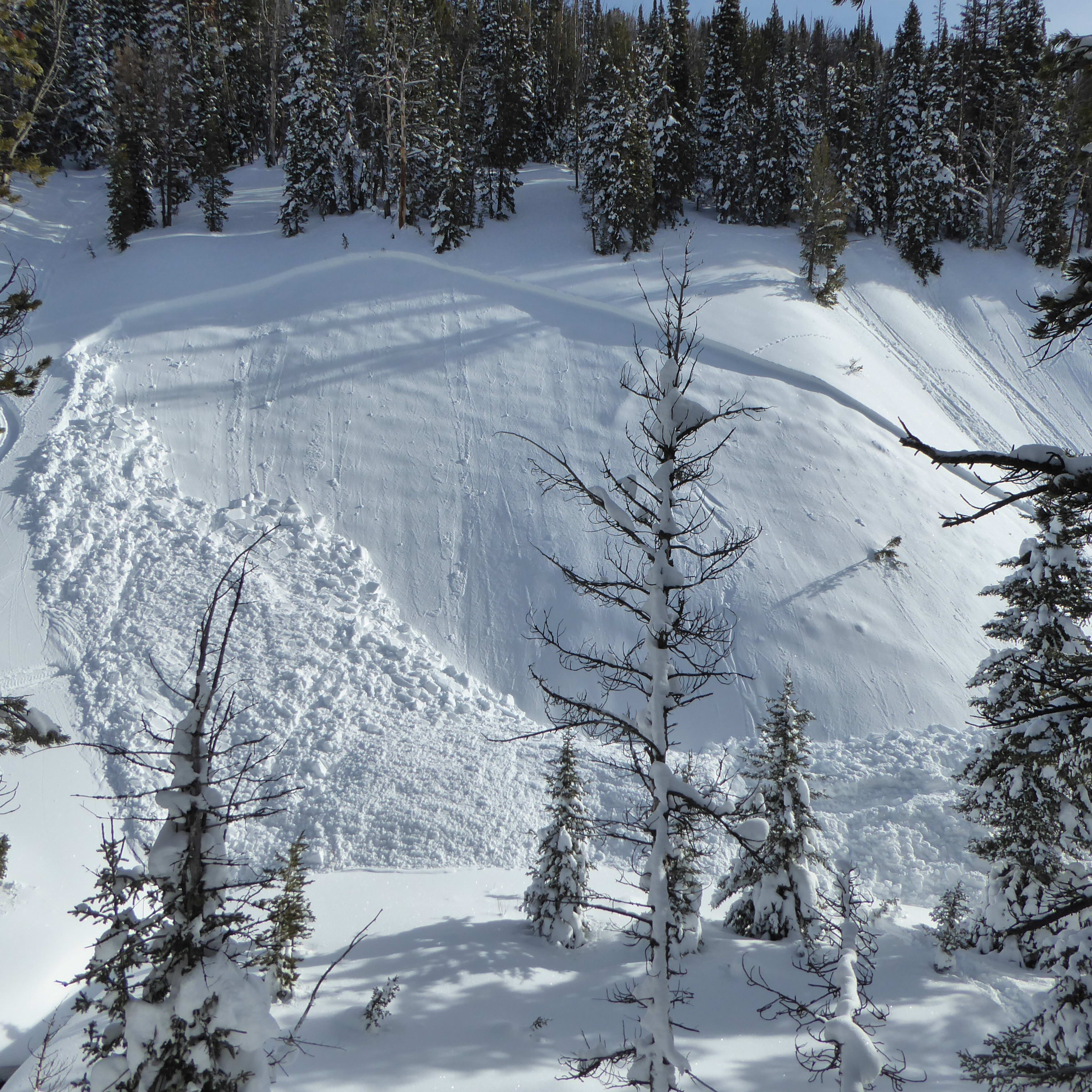 Review: Völkl Revolt 114 - Powder