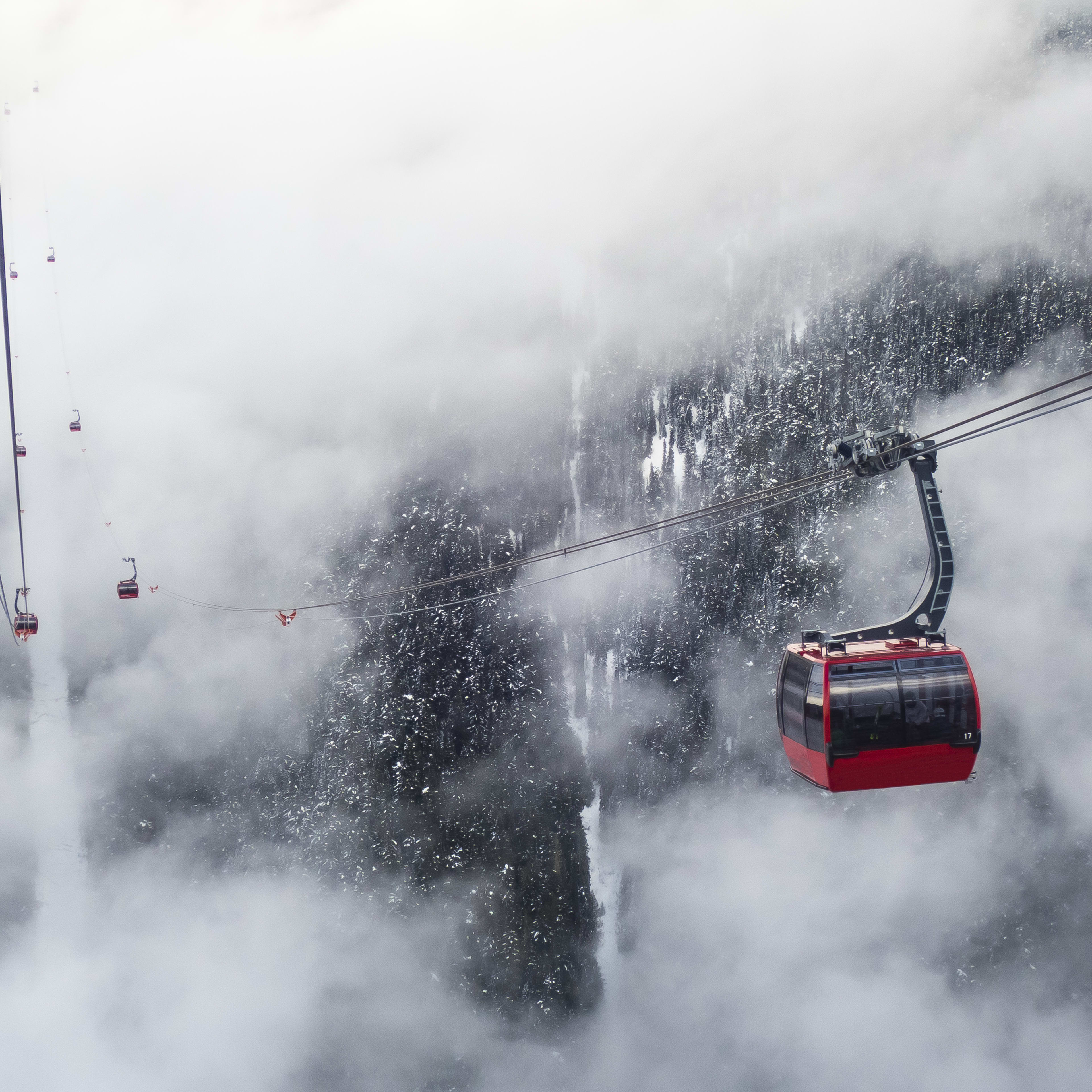 Review: Völkl Revolt 114 - Powder