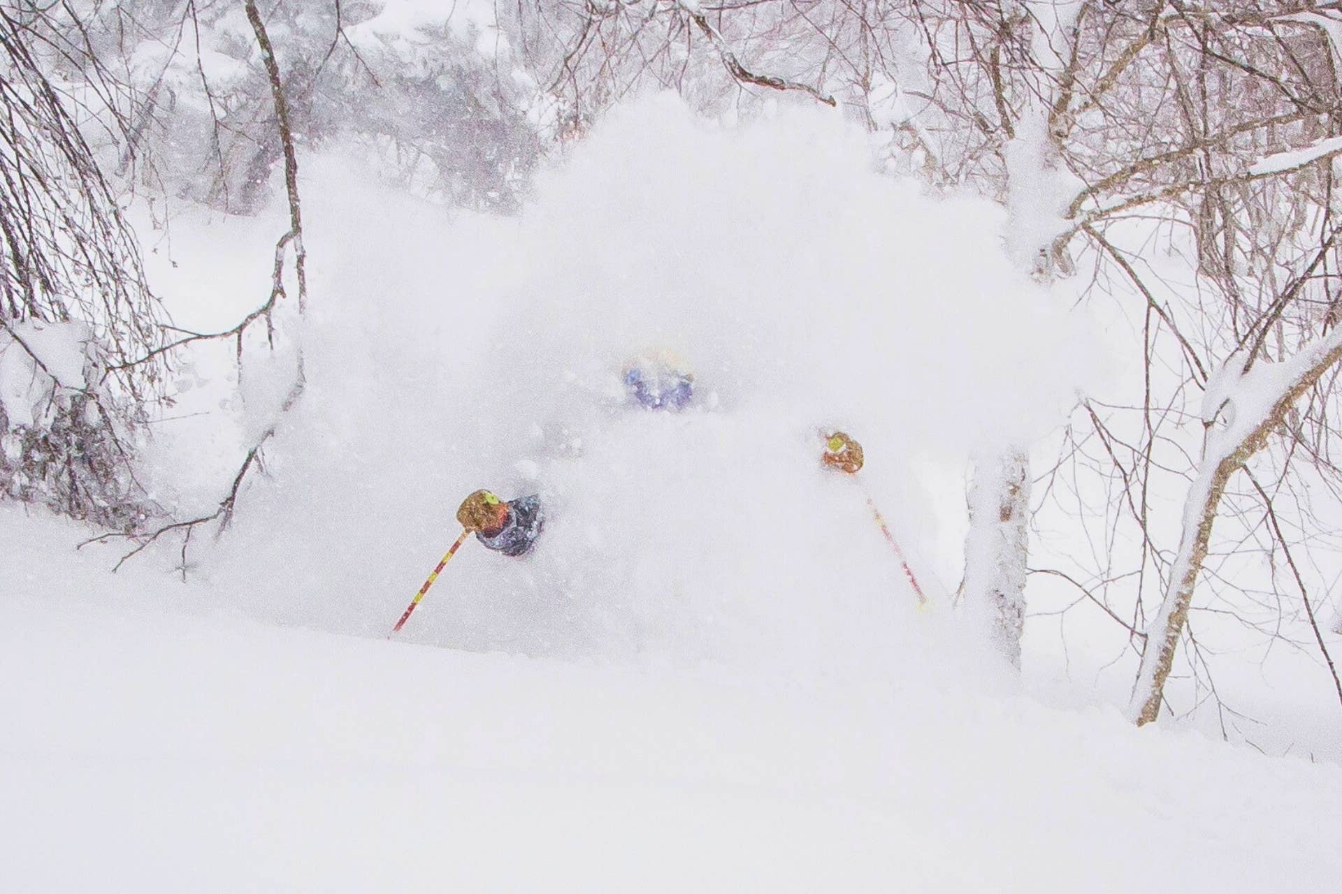 7 of the Best Female Skiers of All Time - Powder