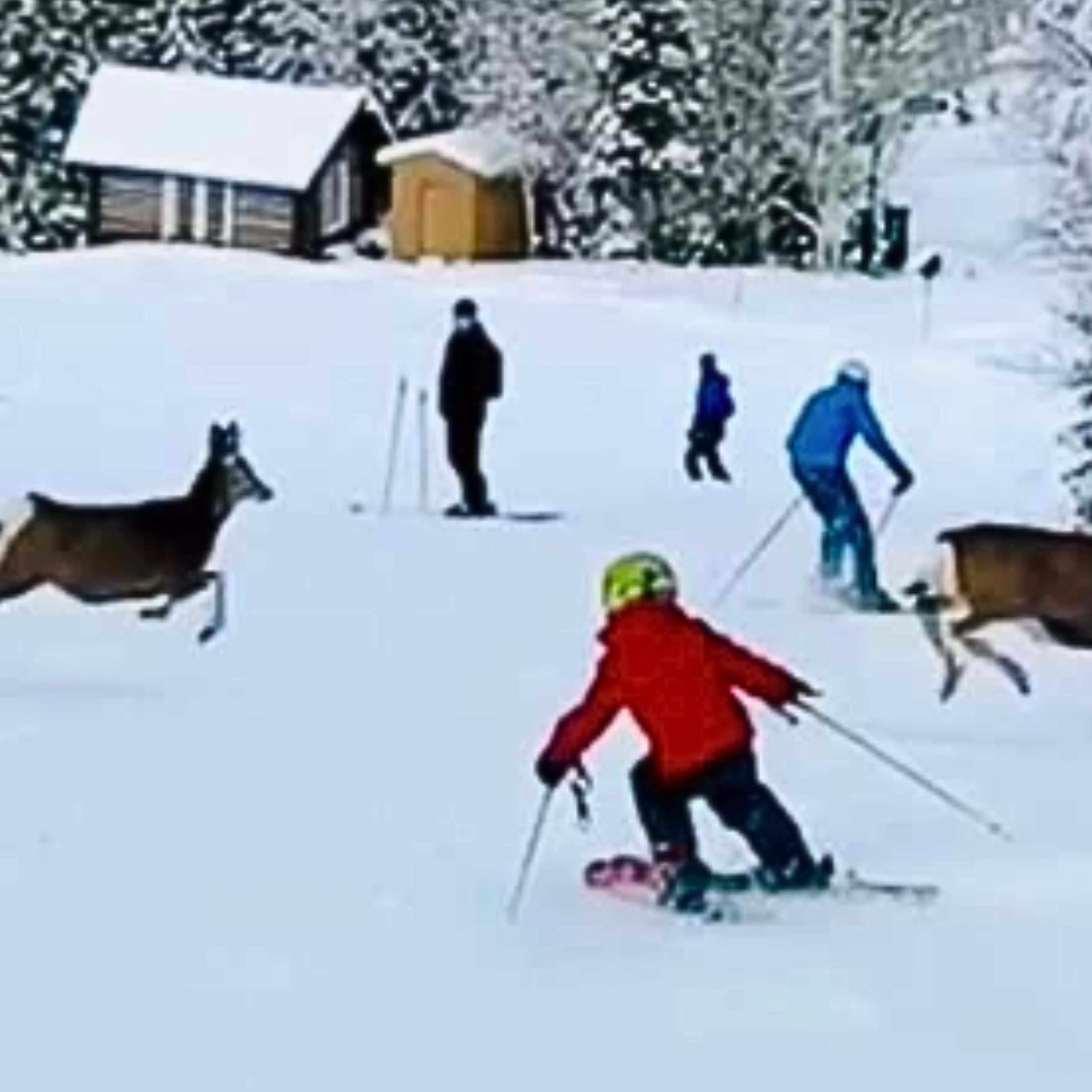 Cody Townsend Reveals New Details About 'The FIFTY+' - Powder