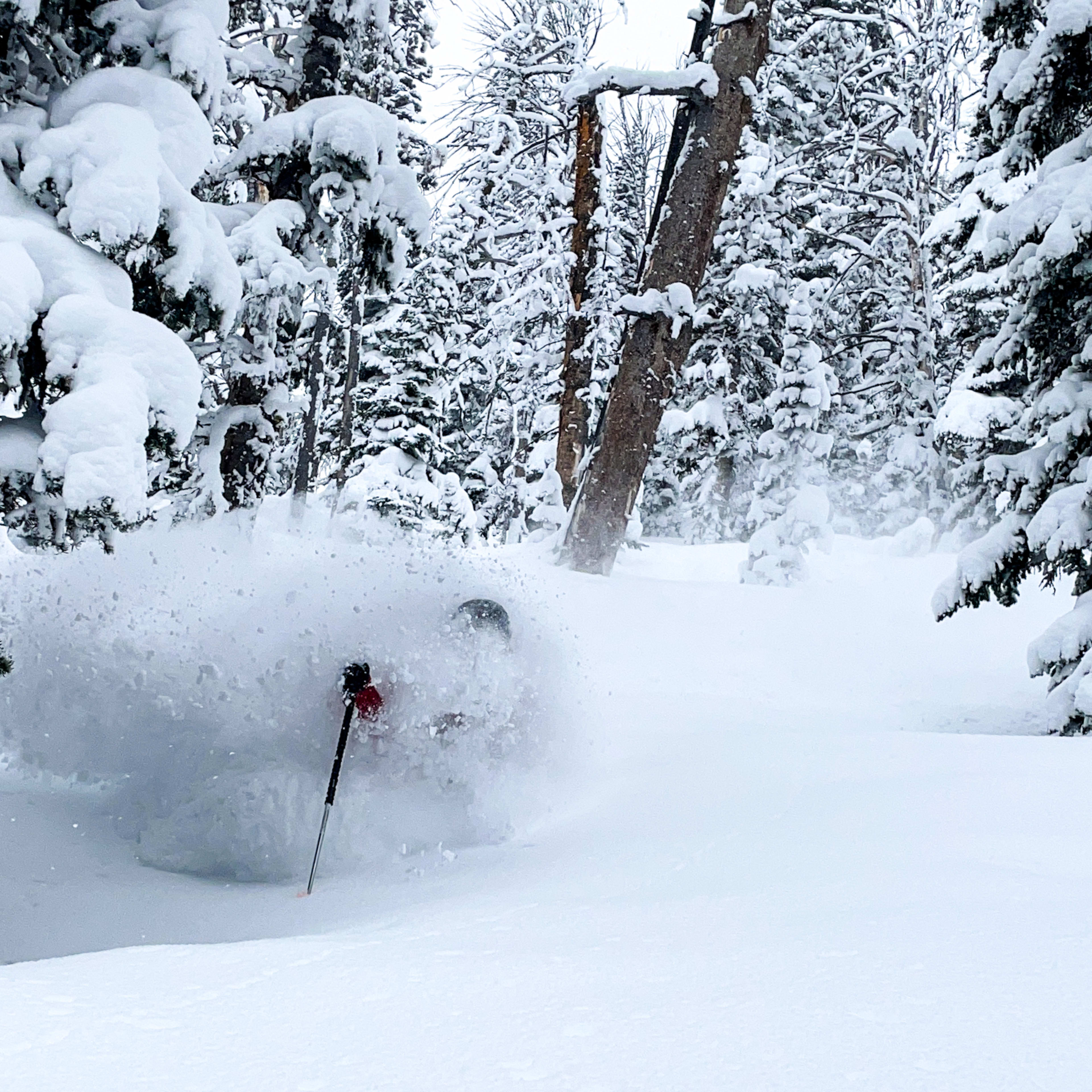 The 6 Best Ski Resorts in Japan - Powder