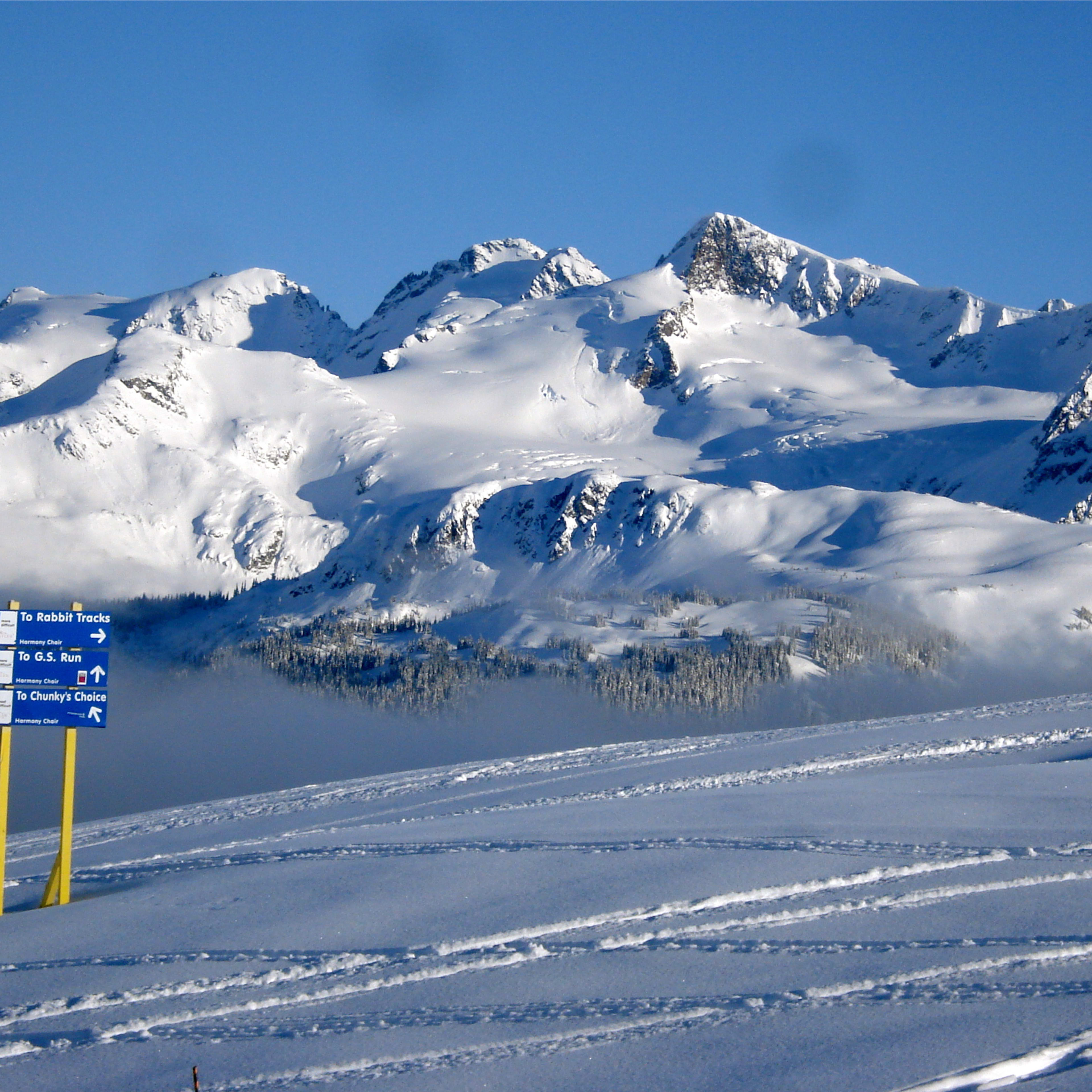 Ski Trail Signs 101: How To Read a Trail Map for Beginners - Powder