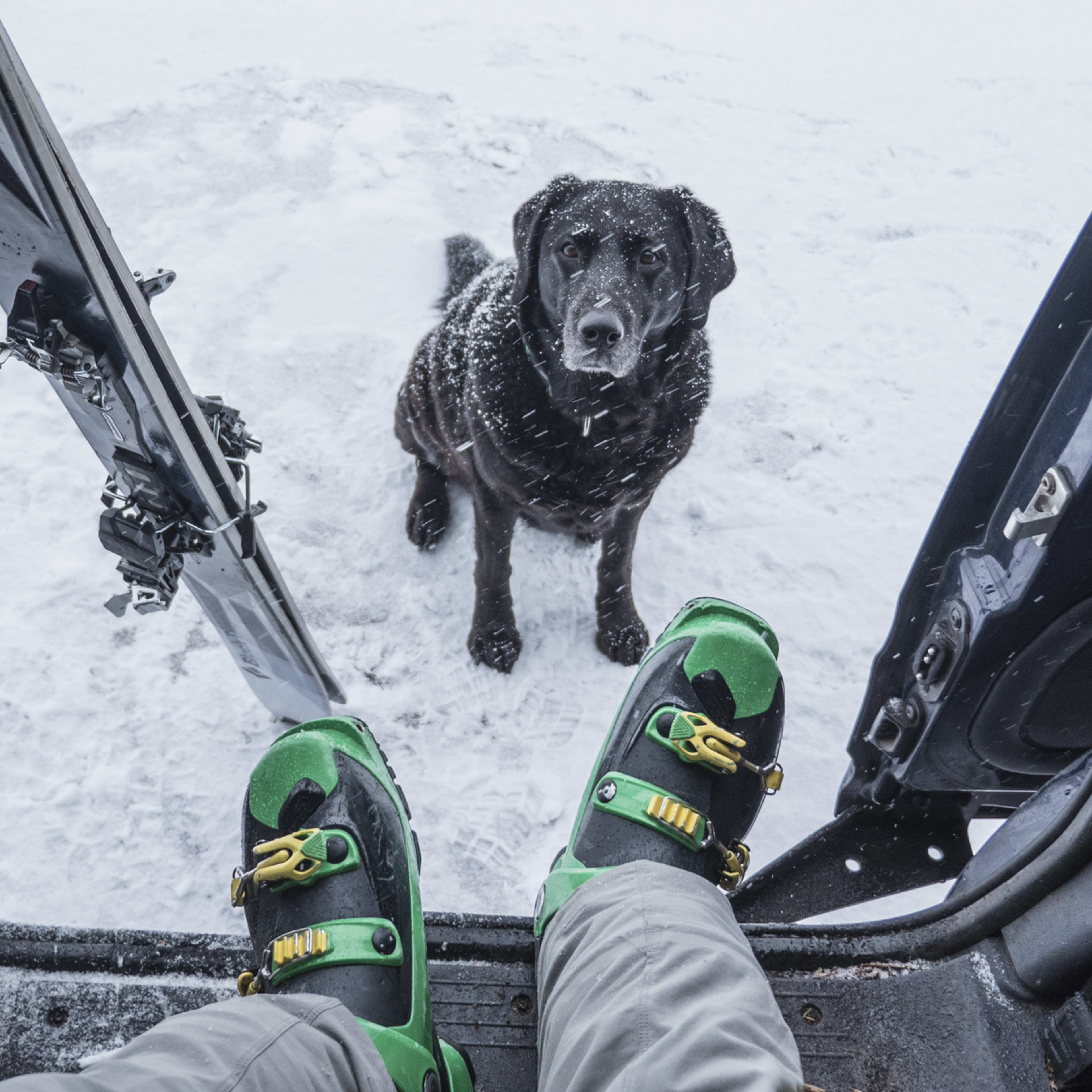 What Is Ski Patrol? A Guide to Their Training and Duties - Powder