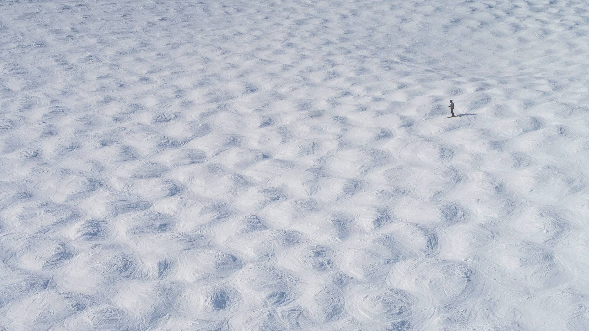 The 11 Different Types of Skis: A Complete Guide - Powder