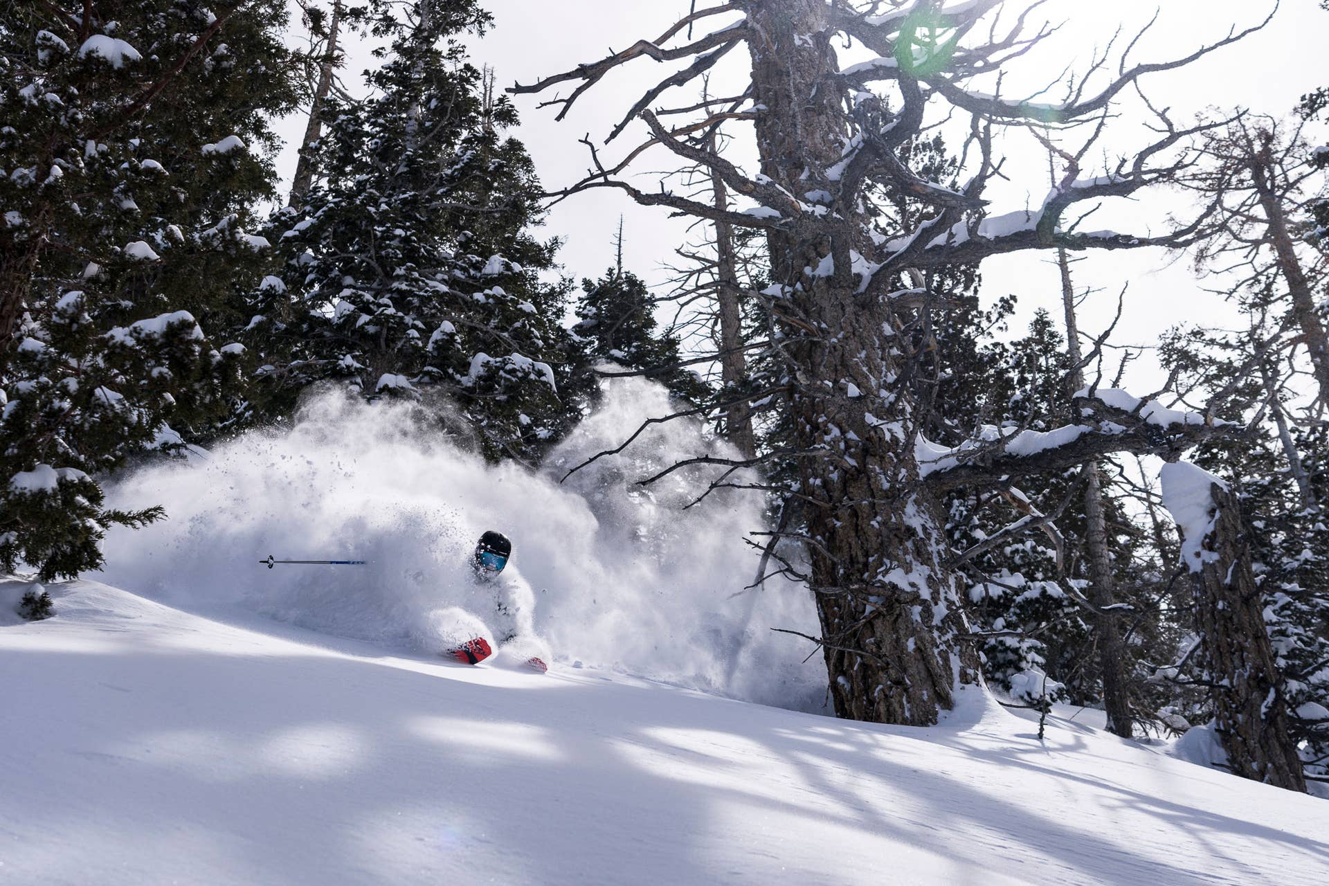 Review: ATK Freeraider 15 EVO Touring Binding - Powder