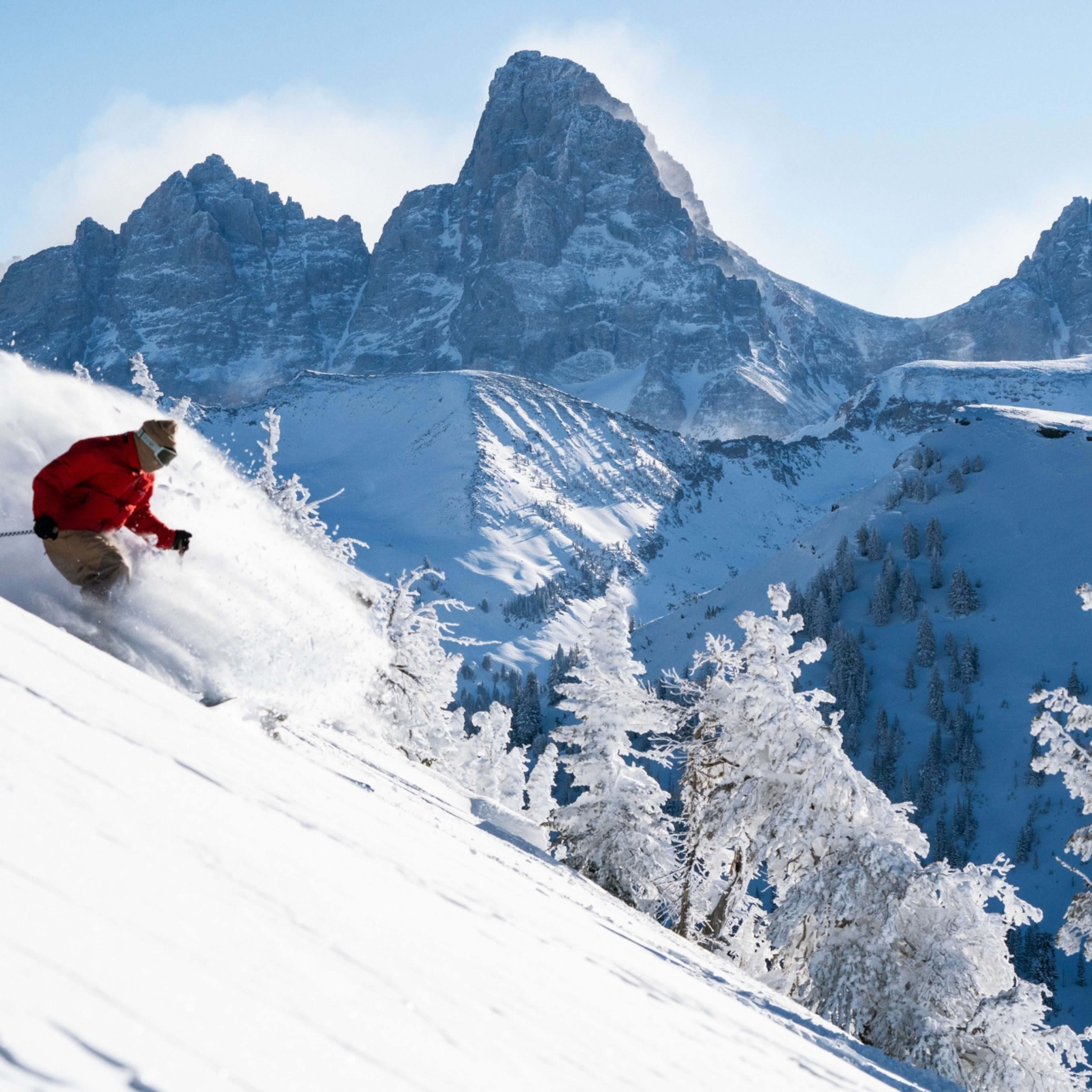 Is Gus Kenworthy Making a Comeback? - Powder