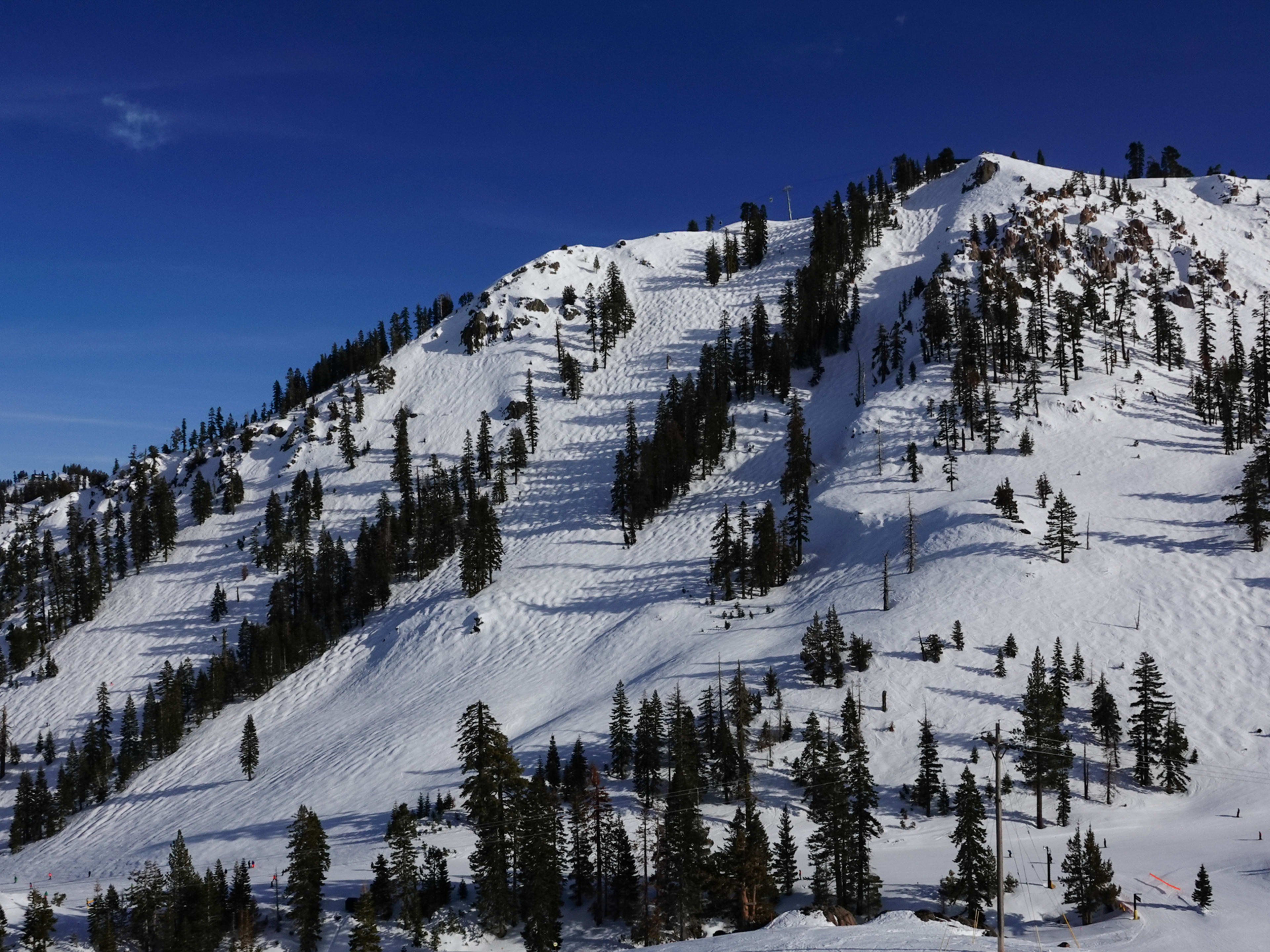 RIP Ellie Curtis: 26-Year-Old Skier Dies at Palisades Tahoe - Powder