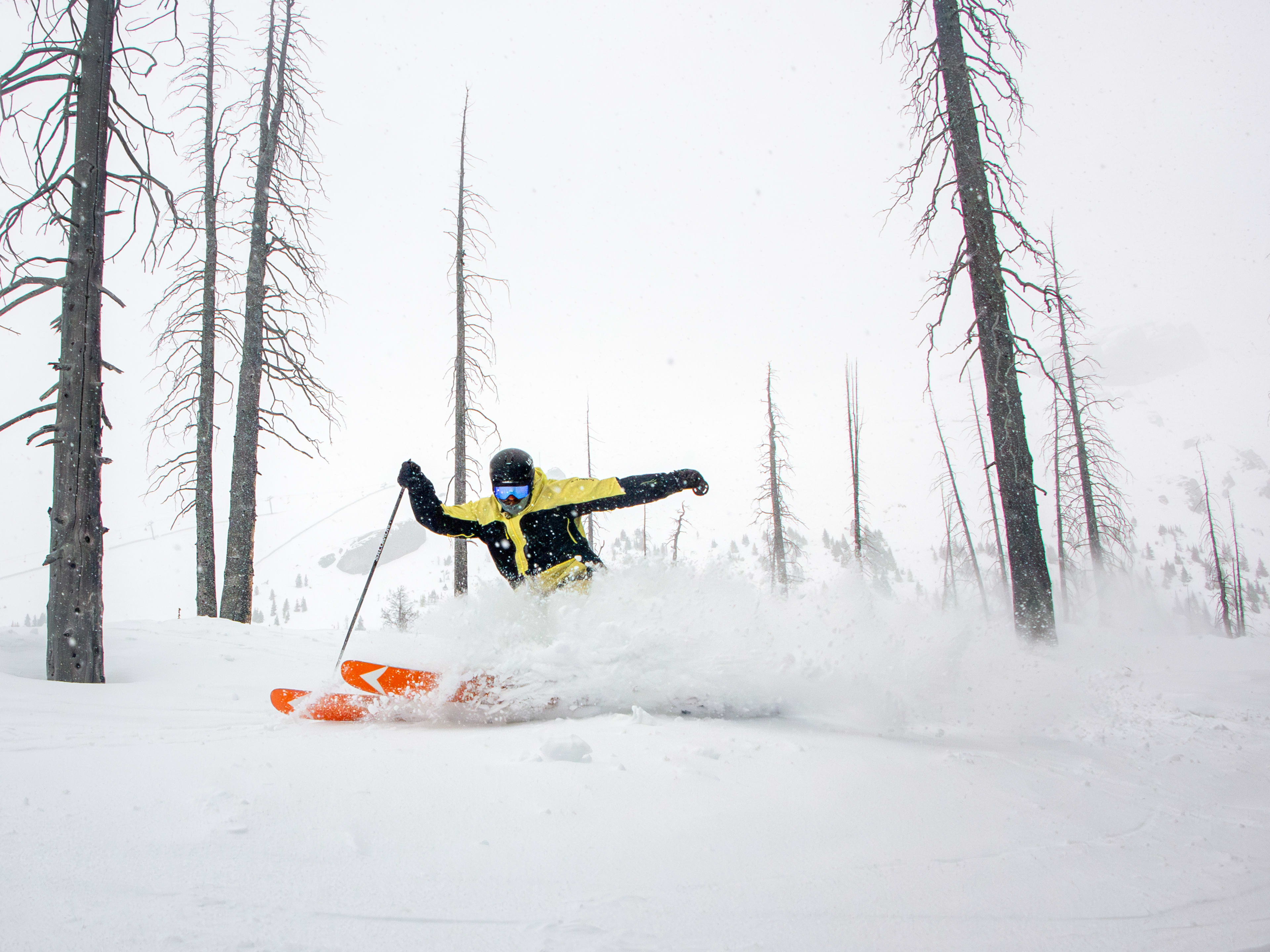 Review: 2026 Rossignol Sender Free 100 Skis - Powder