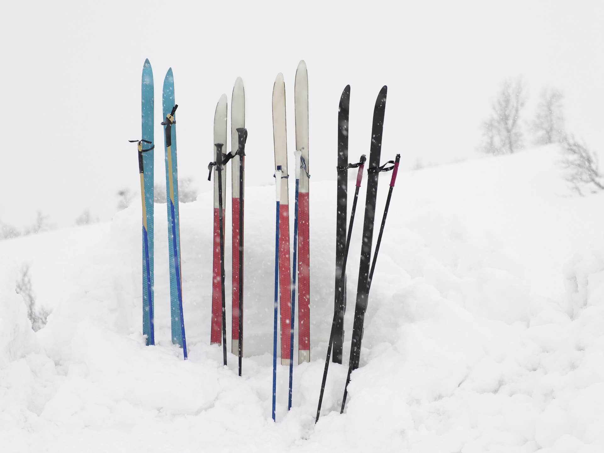 What Counts as a Powder Day? 1,000 Skiers Voted - Powder