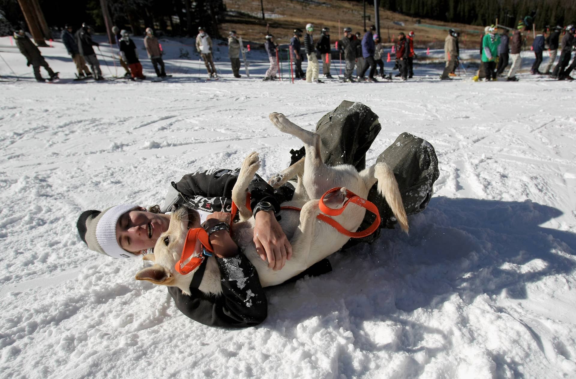 The 7 Best Dog-Friendly Ski Resorts in North America - Powder
