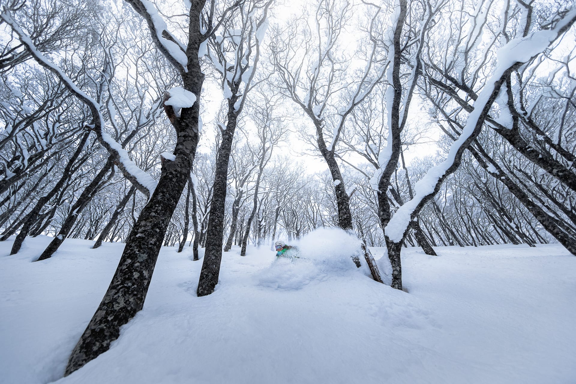 The 6 Best Ski Resorts in Japan - Powder